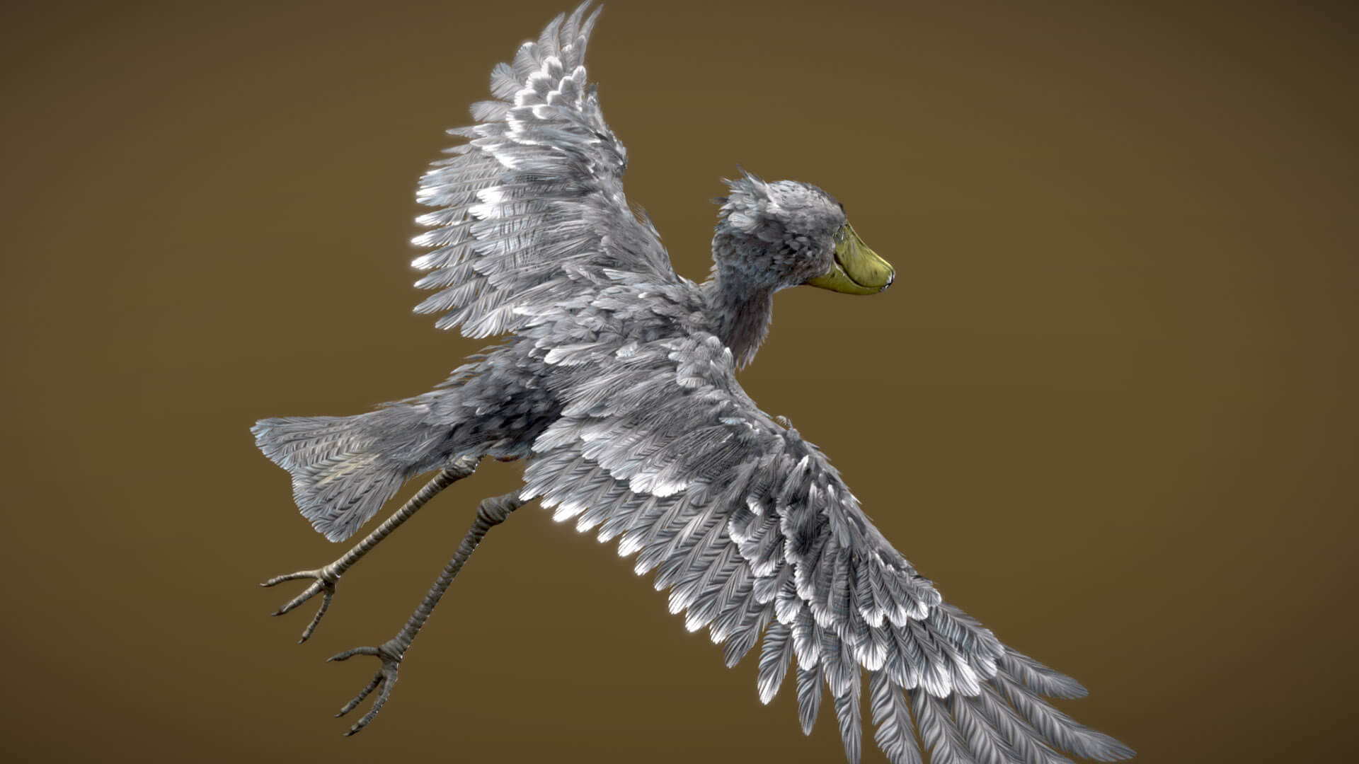 Shoebill 3D Model by Nestaeric