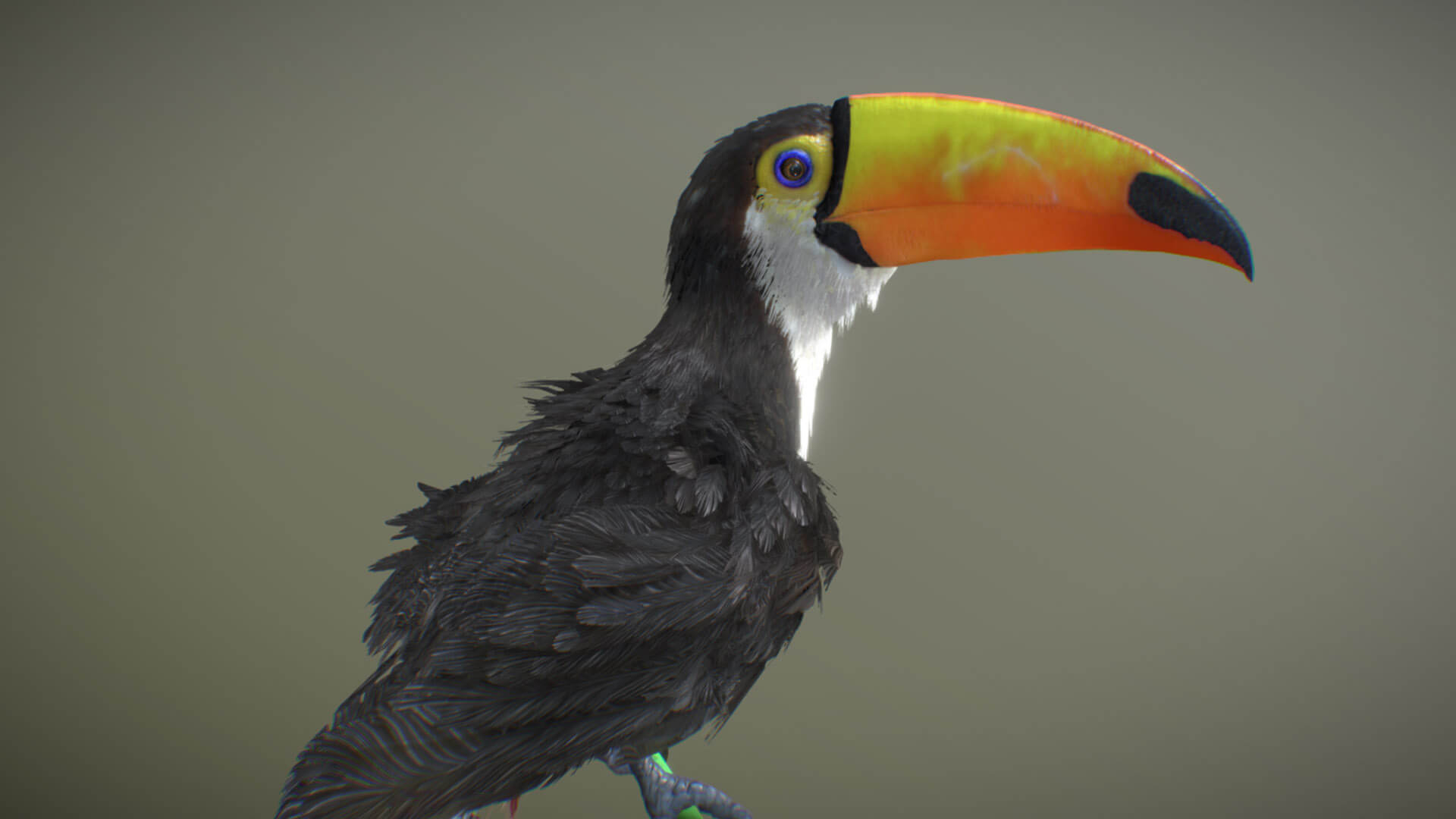 Toco Toucan 3D Model by Nestaeric