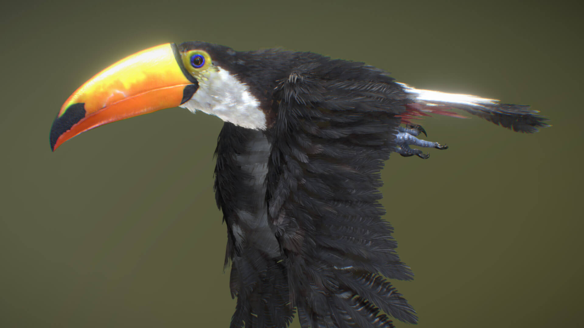 Toco Toucan 3D Model by Nestaeric