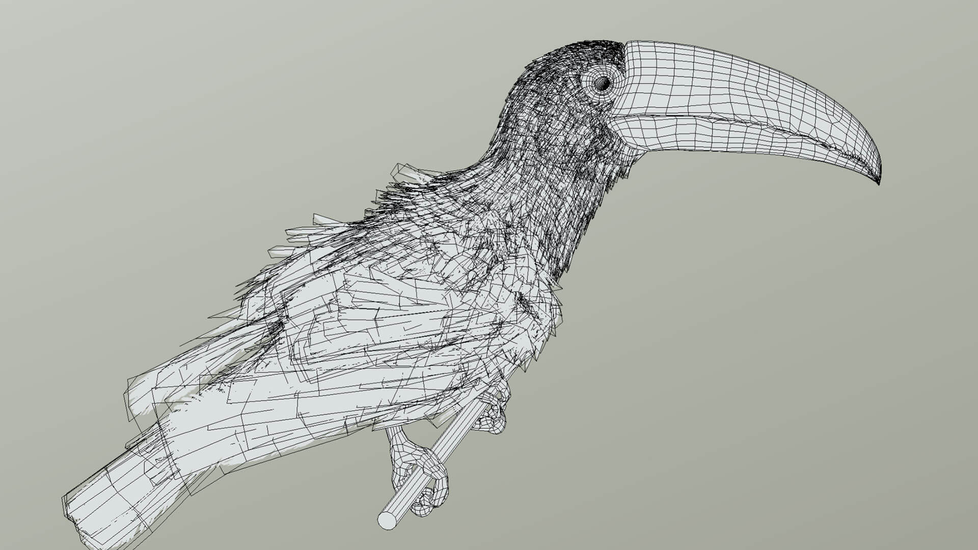 Toco Toucan 3D Model by Nestaeric