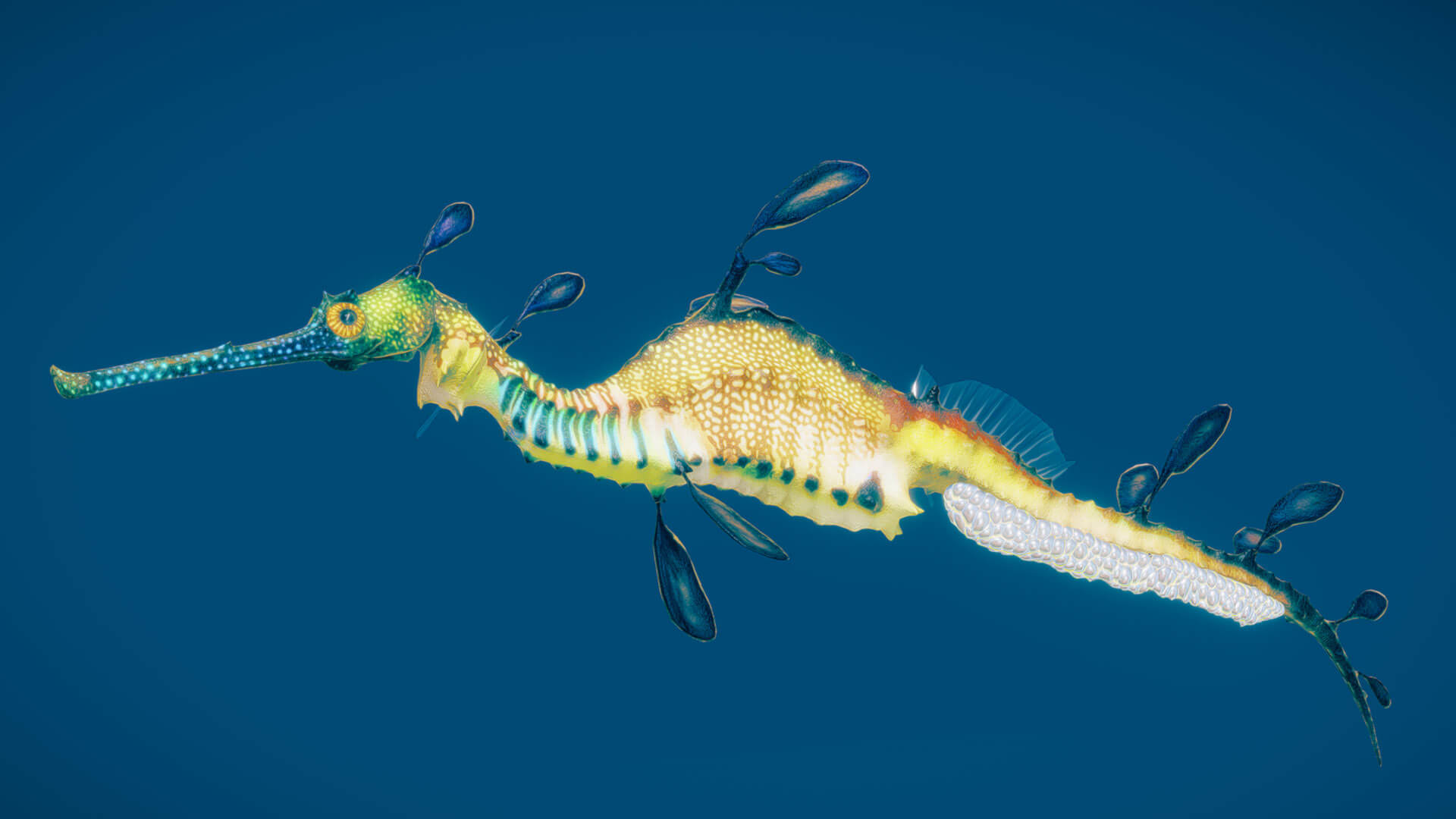 Weedy Seadragon 3D Model by Nestaeric