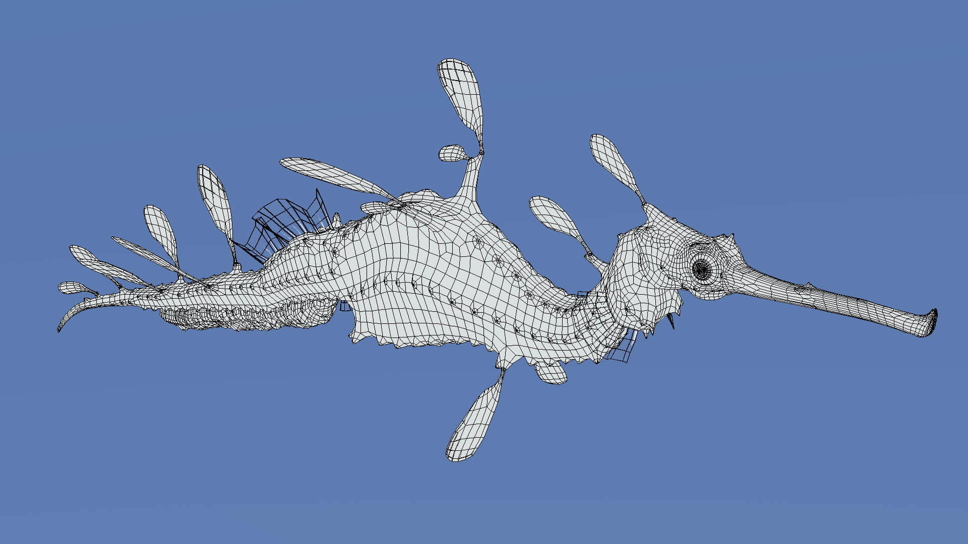 Weedy Seadragon 3D Model by Nestaeric