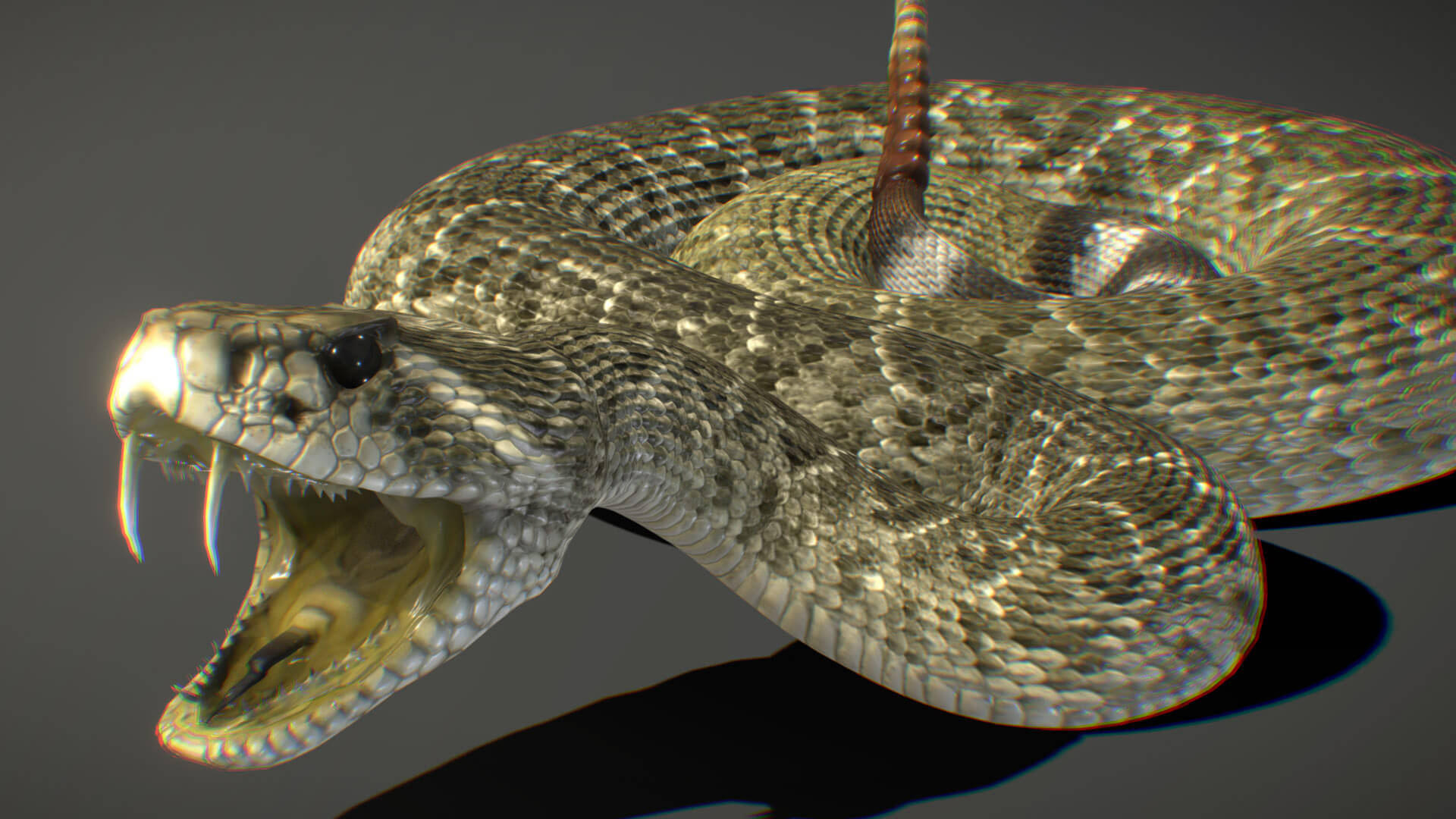 Western Diamondback Rattlesnake 3D model by Nestaeric