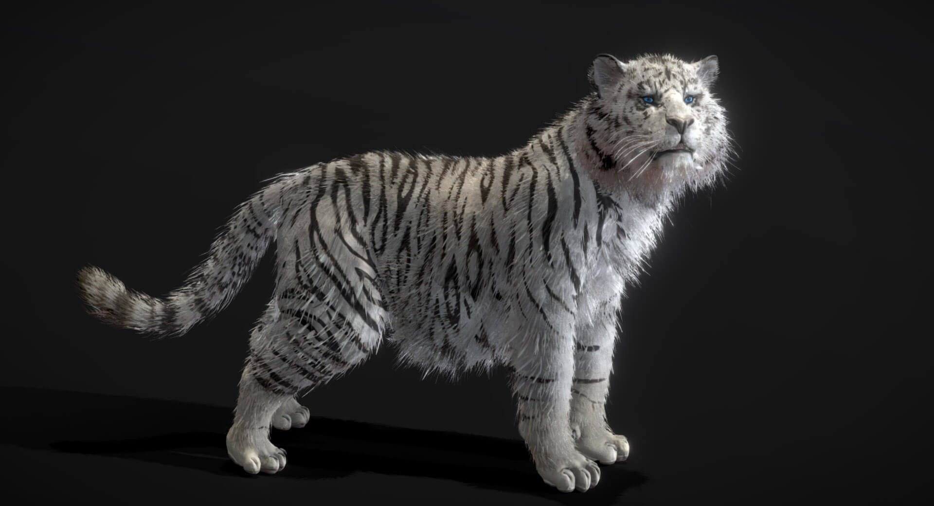 White Tiger 3D Model by Nestaeric
