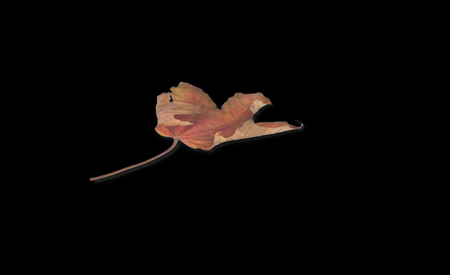 20 Leaf Material With Alpha Pack by netleon