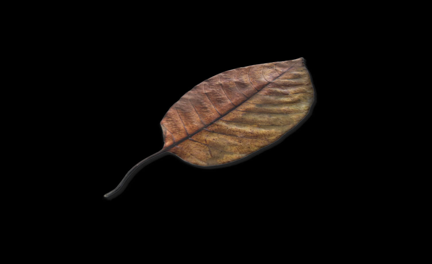 20 Leaf Material With Alpha Pack by netleon