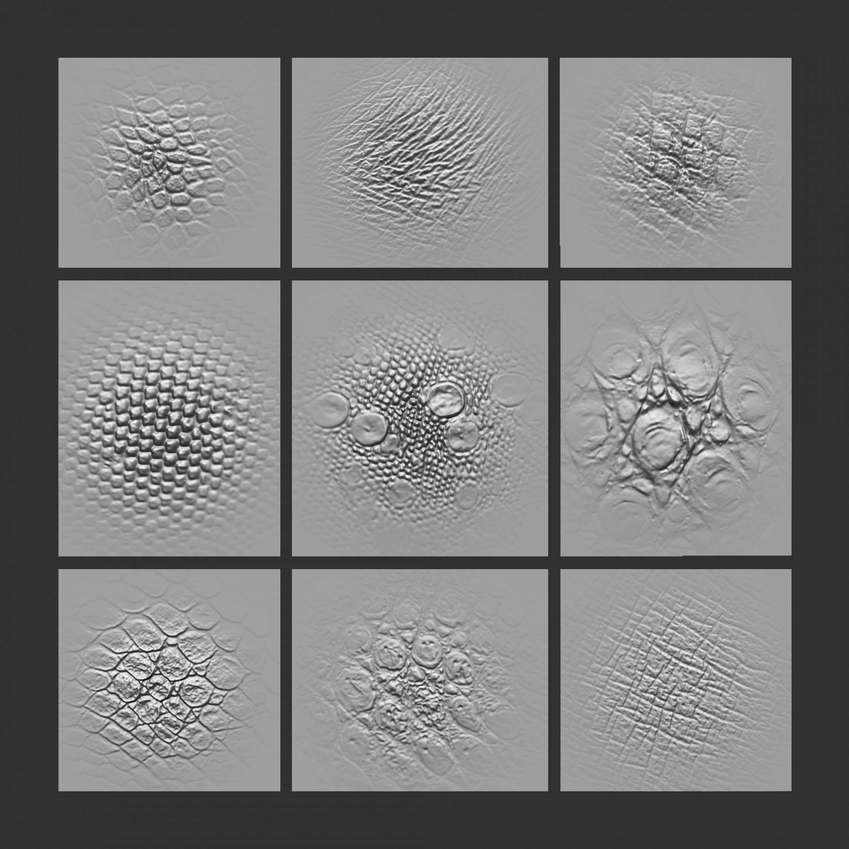 40 Animal Skin Alpha and Brush by netleon