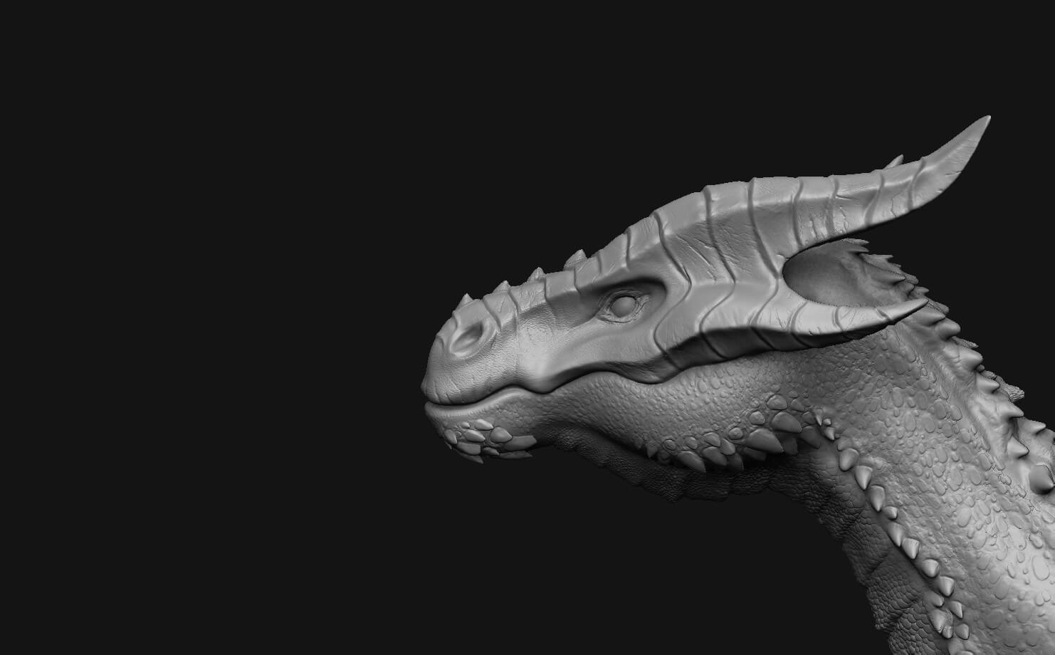 Dragon Face Anatomy