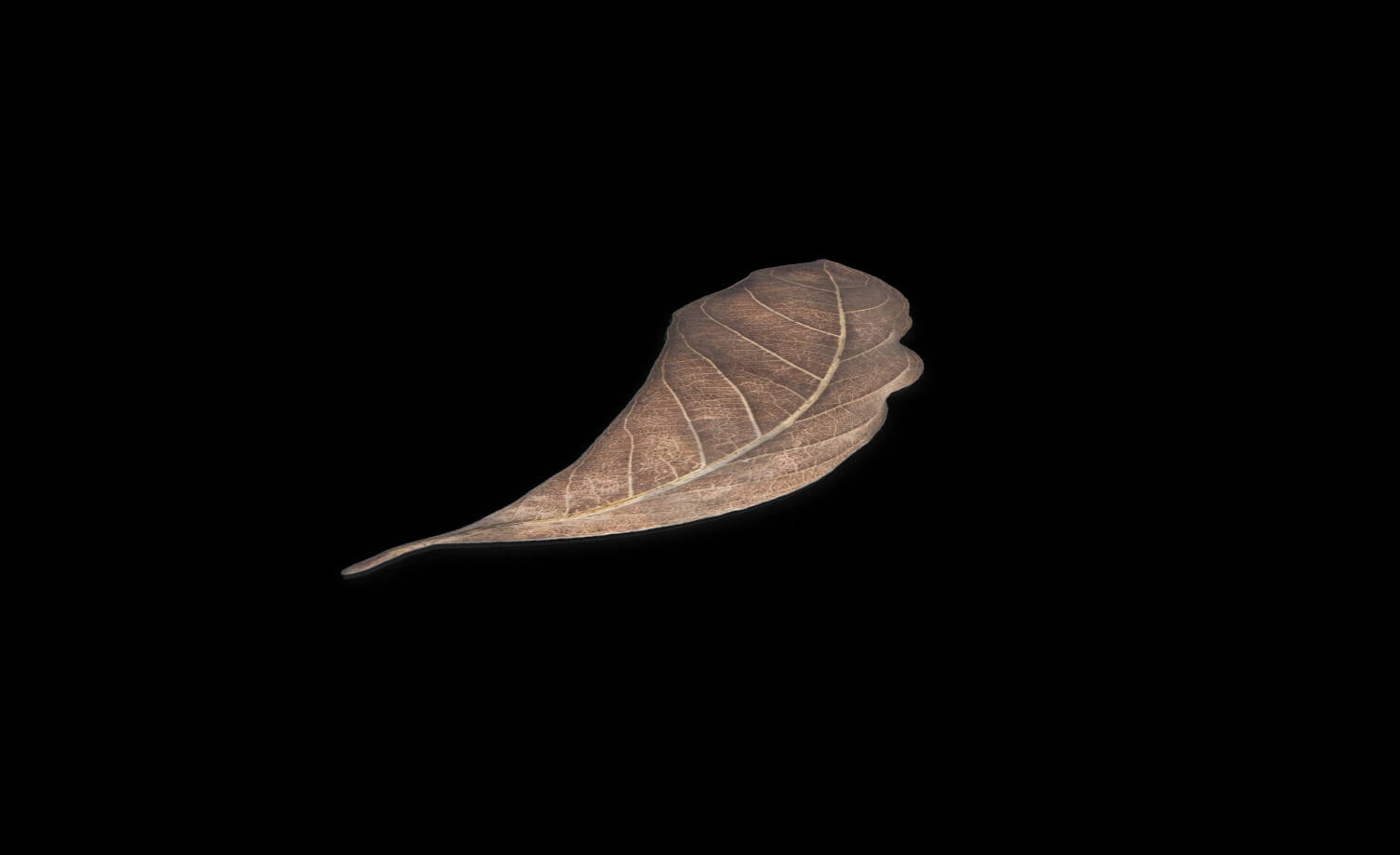 Leaf Materials With Alpha Vol.1 - 3D Material or Shader by netleon
