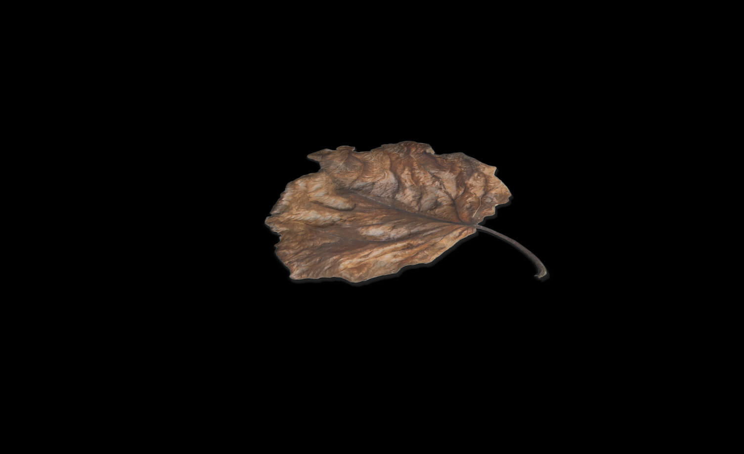 Leaf Materials With Alpha Vol.2 - 3D Material or Shader by netleon