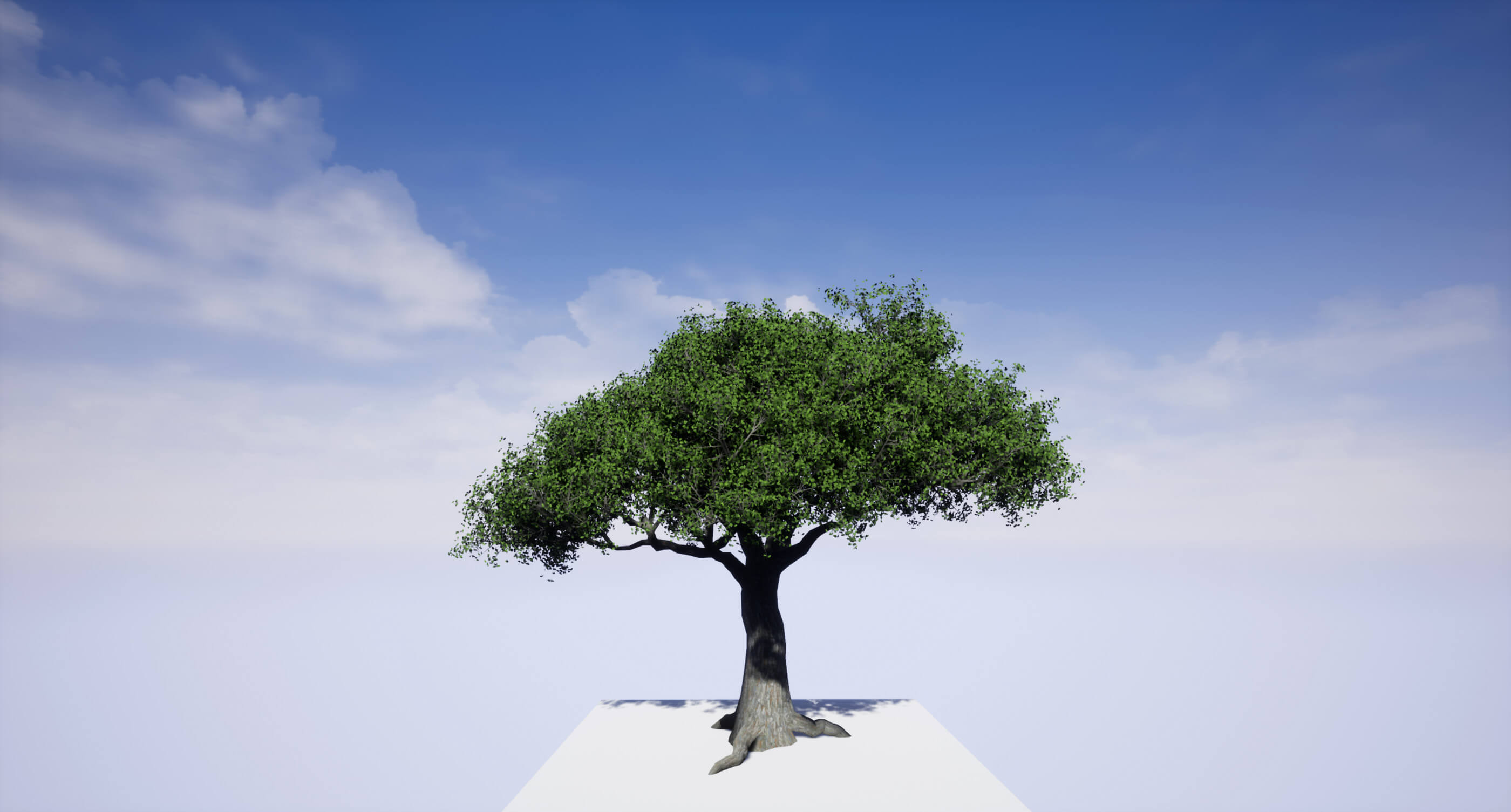 Tree - 3D Model by netleon