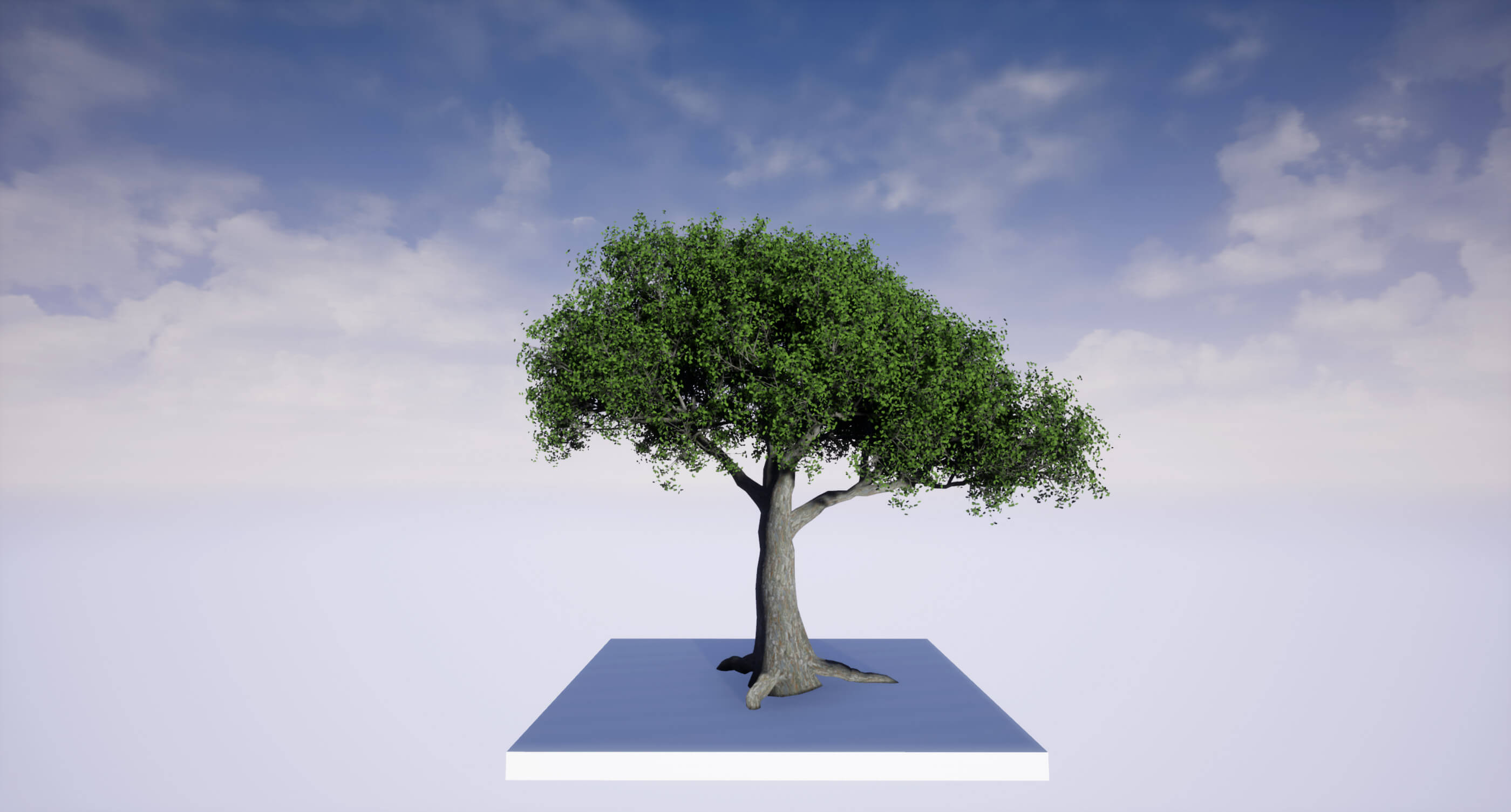 Tree - 3D Model by netleon