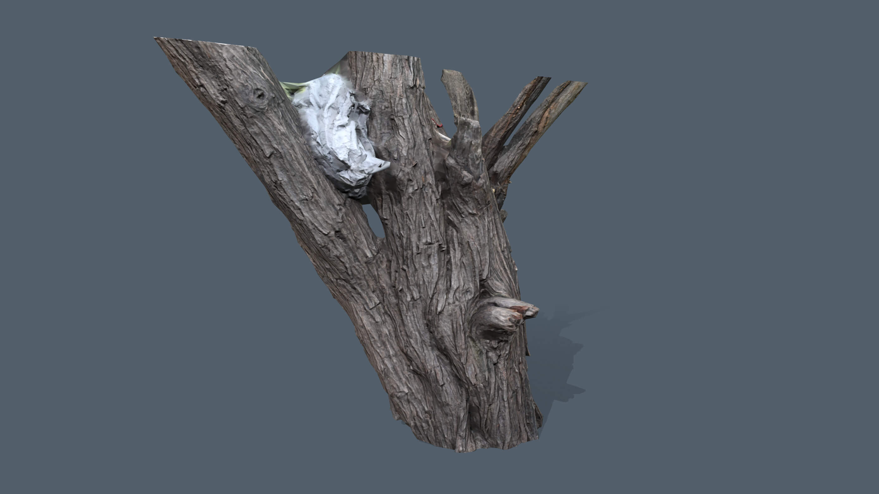 Wood Bark - 3D Model by netleon
