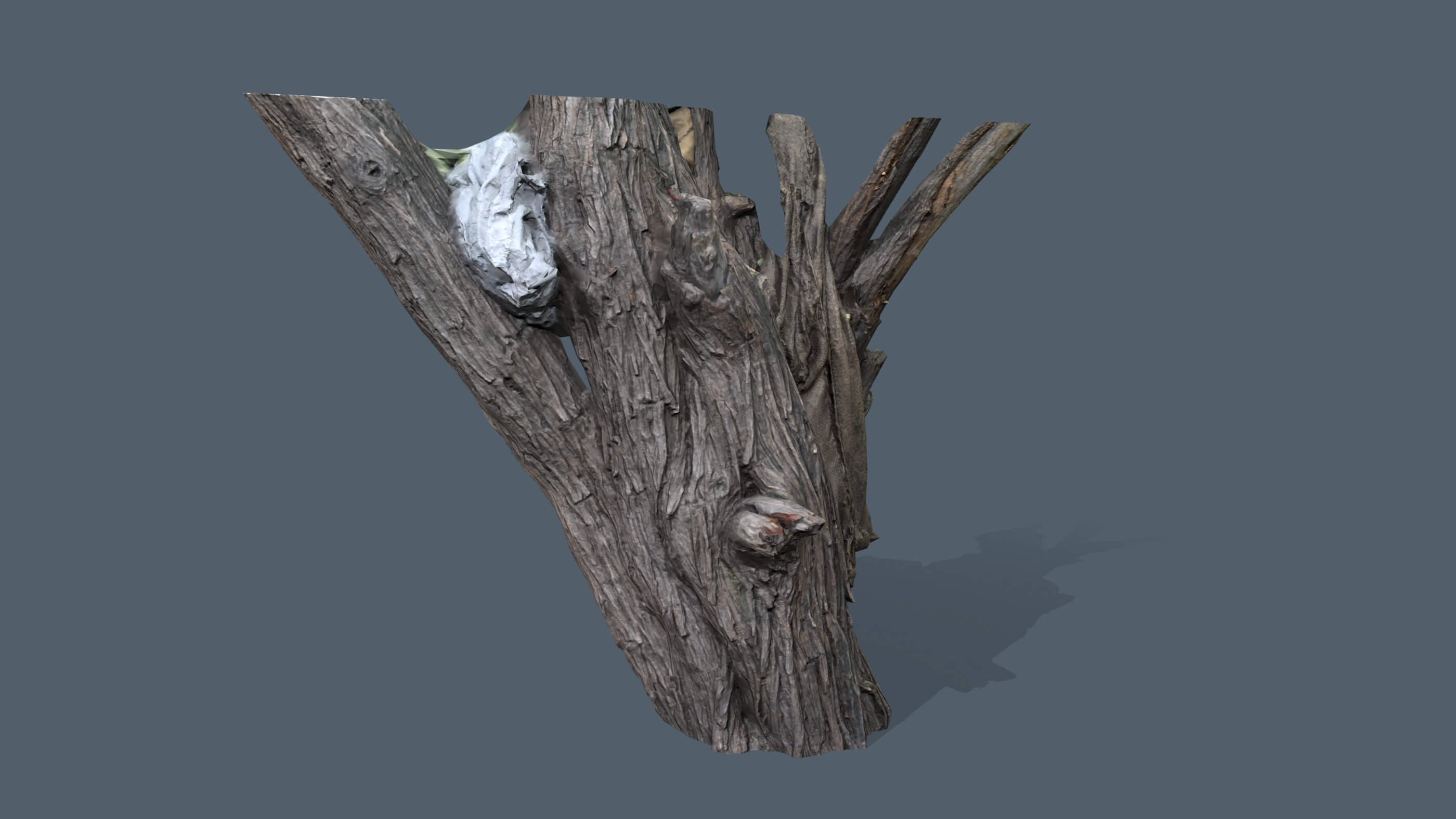 Wood Bark - 3D Model by netleon