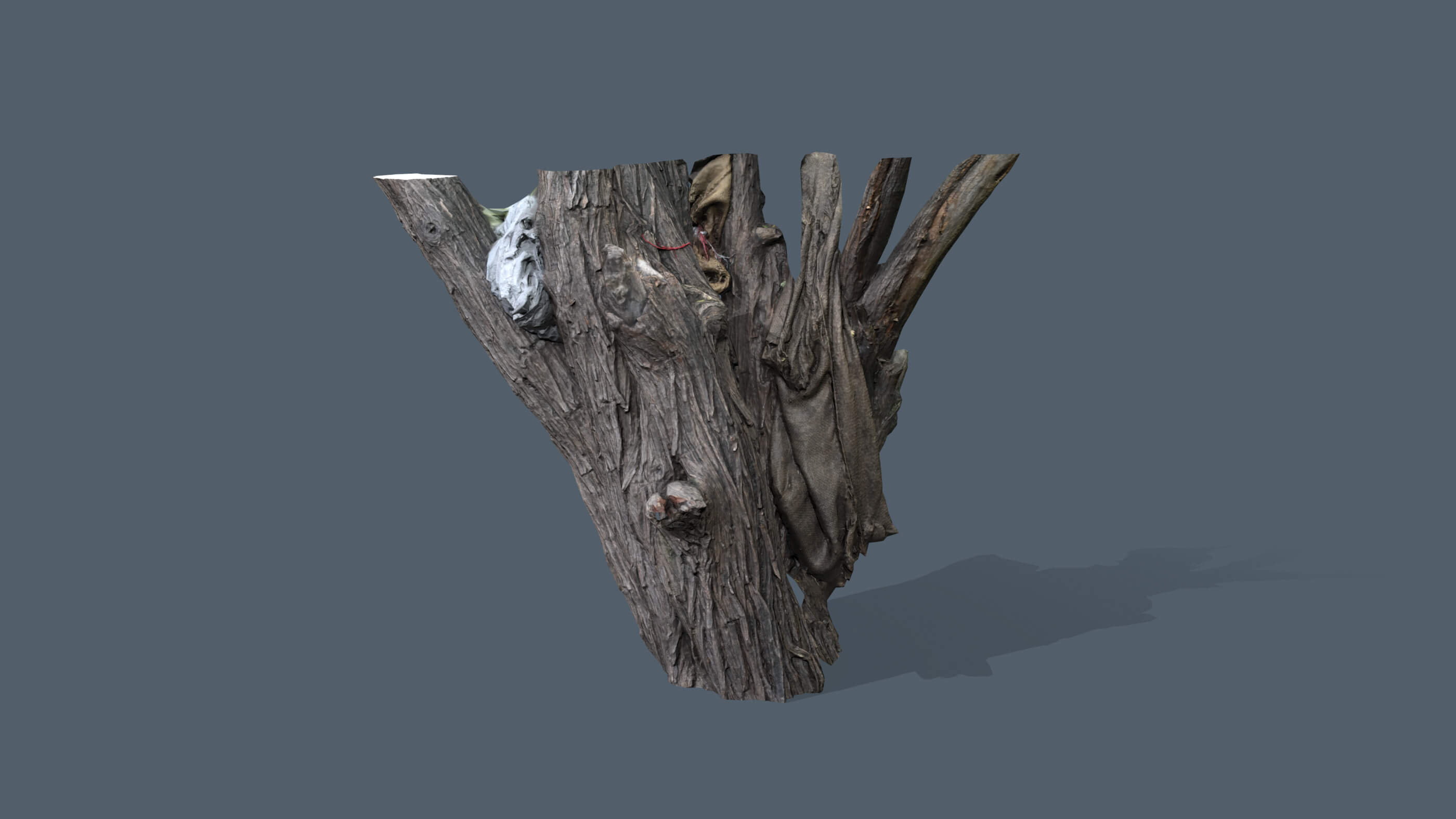 Wood Bark - 3D Model by netleon