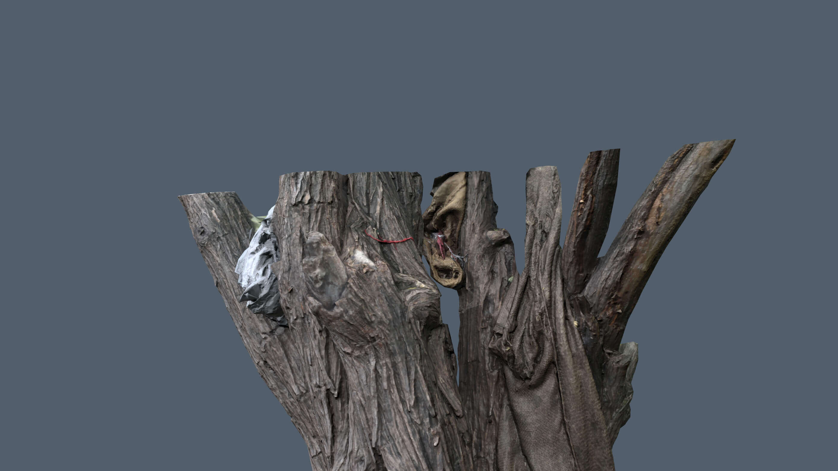 Wood Bark - 3D Model by netleon