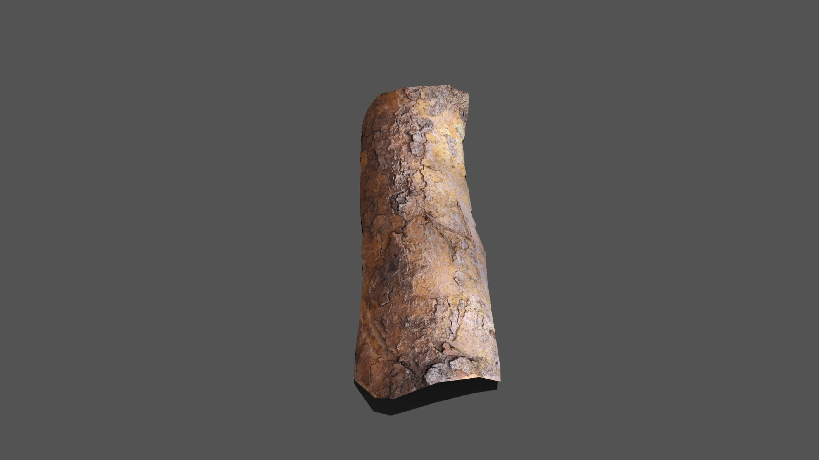 Wood Bark - 3D Model by netleon