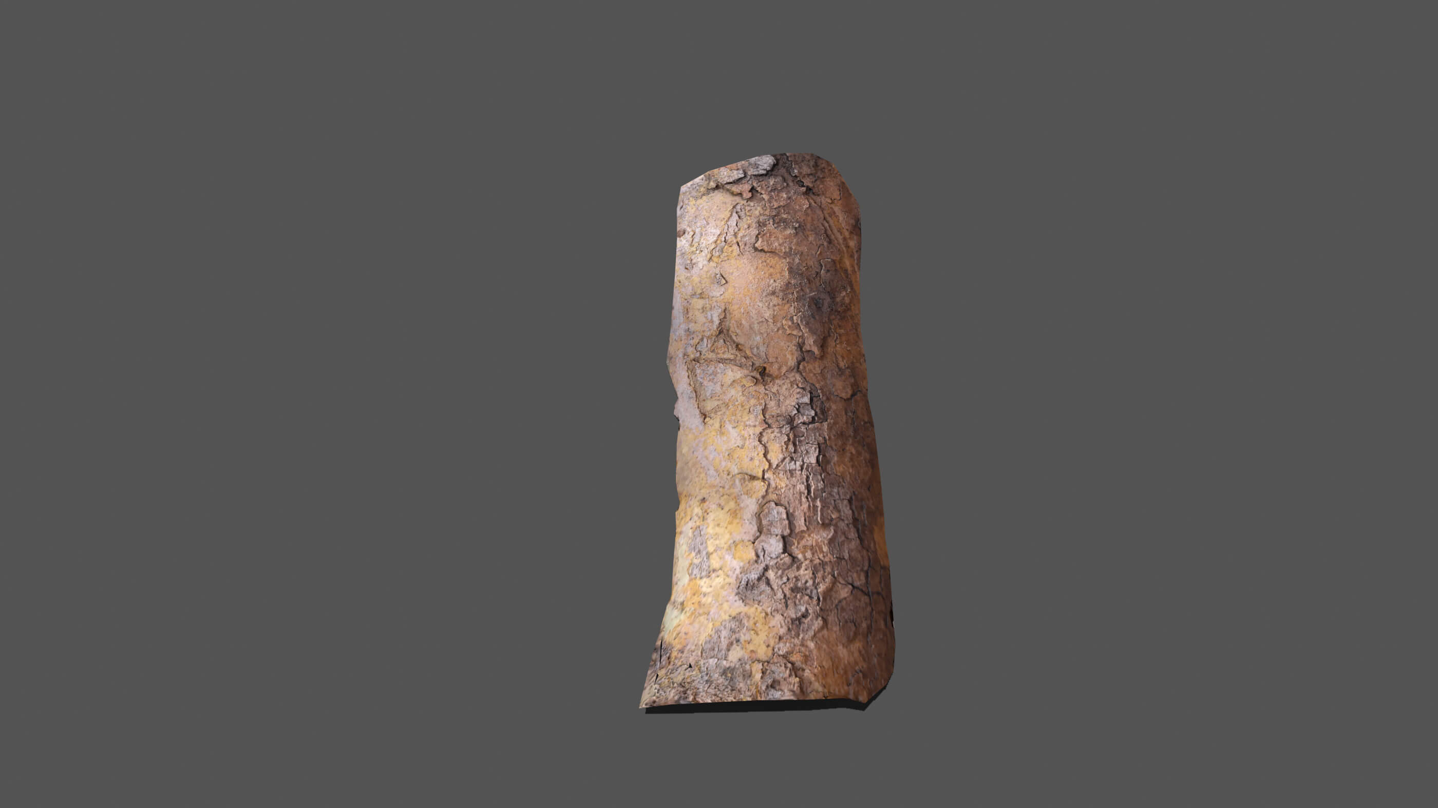 Wood Bark - 3D Model by netleon