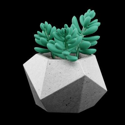 Succulent Plants - 3D Model by Neuroforge3D