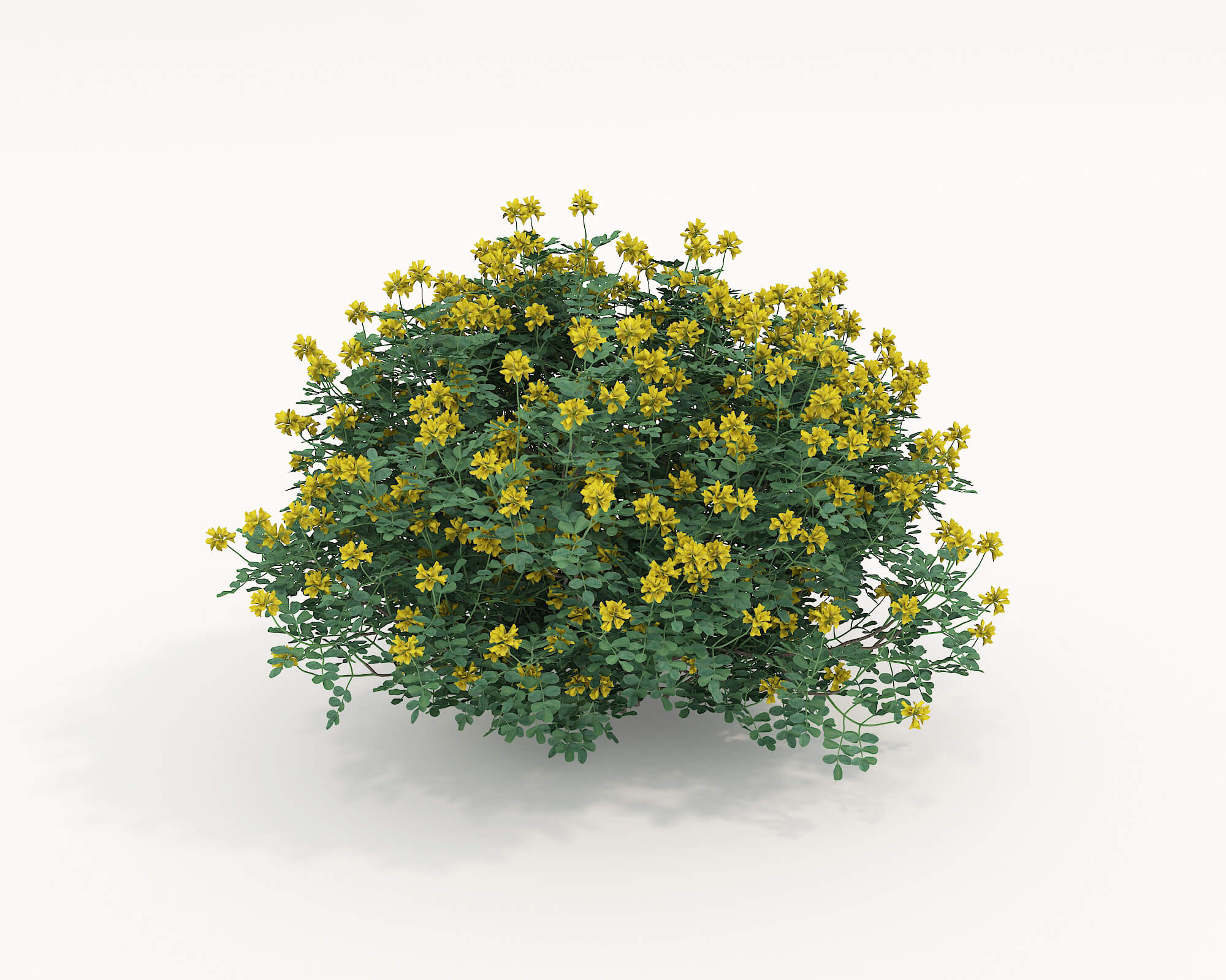 Realistic Shrub Bush Set 4 - 3D Model by nhattuankts