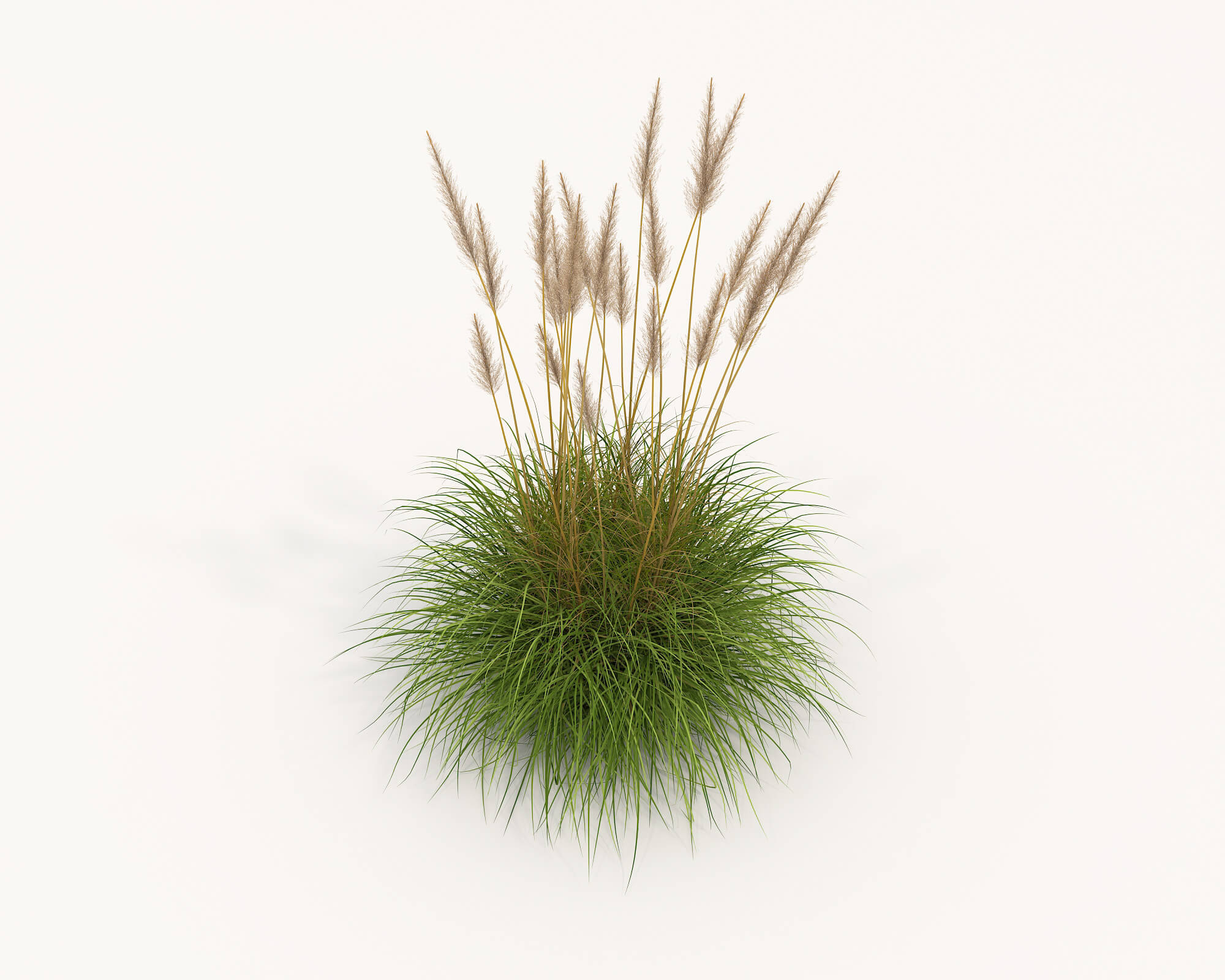 Realistic Shrub Bush Set 4 - 3D Model by nhattuankts