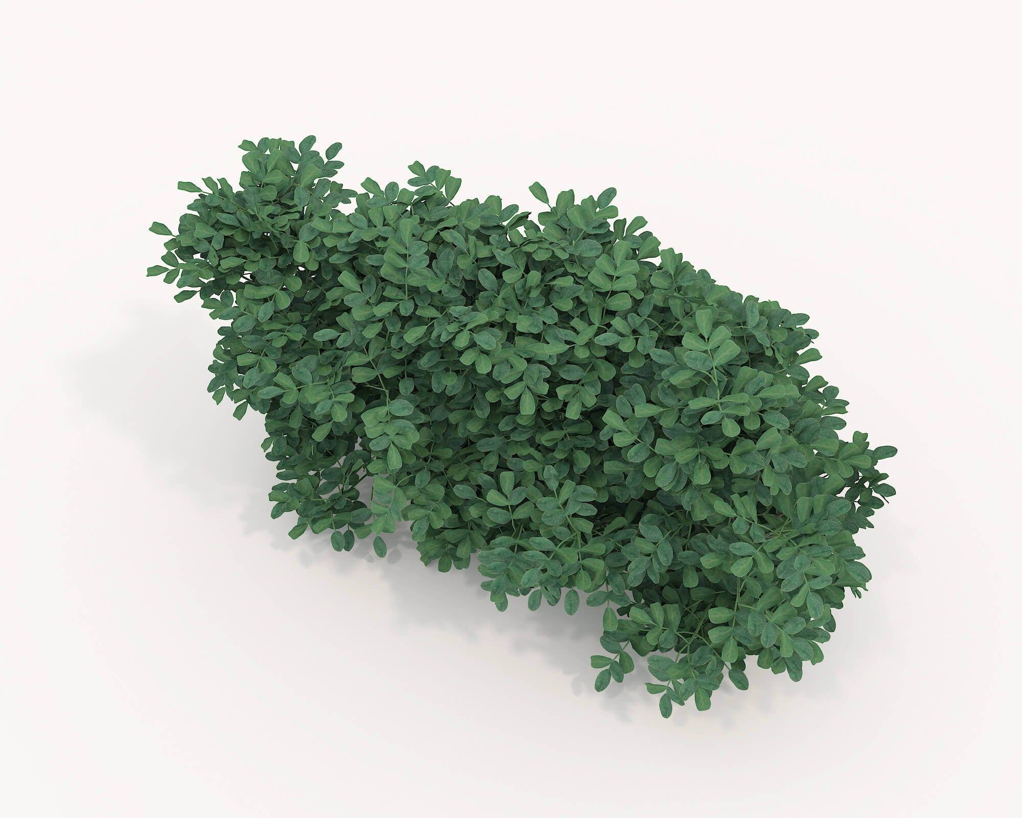 Realistic Shrub Bush Set 4 - 3D Model by nhattuankts