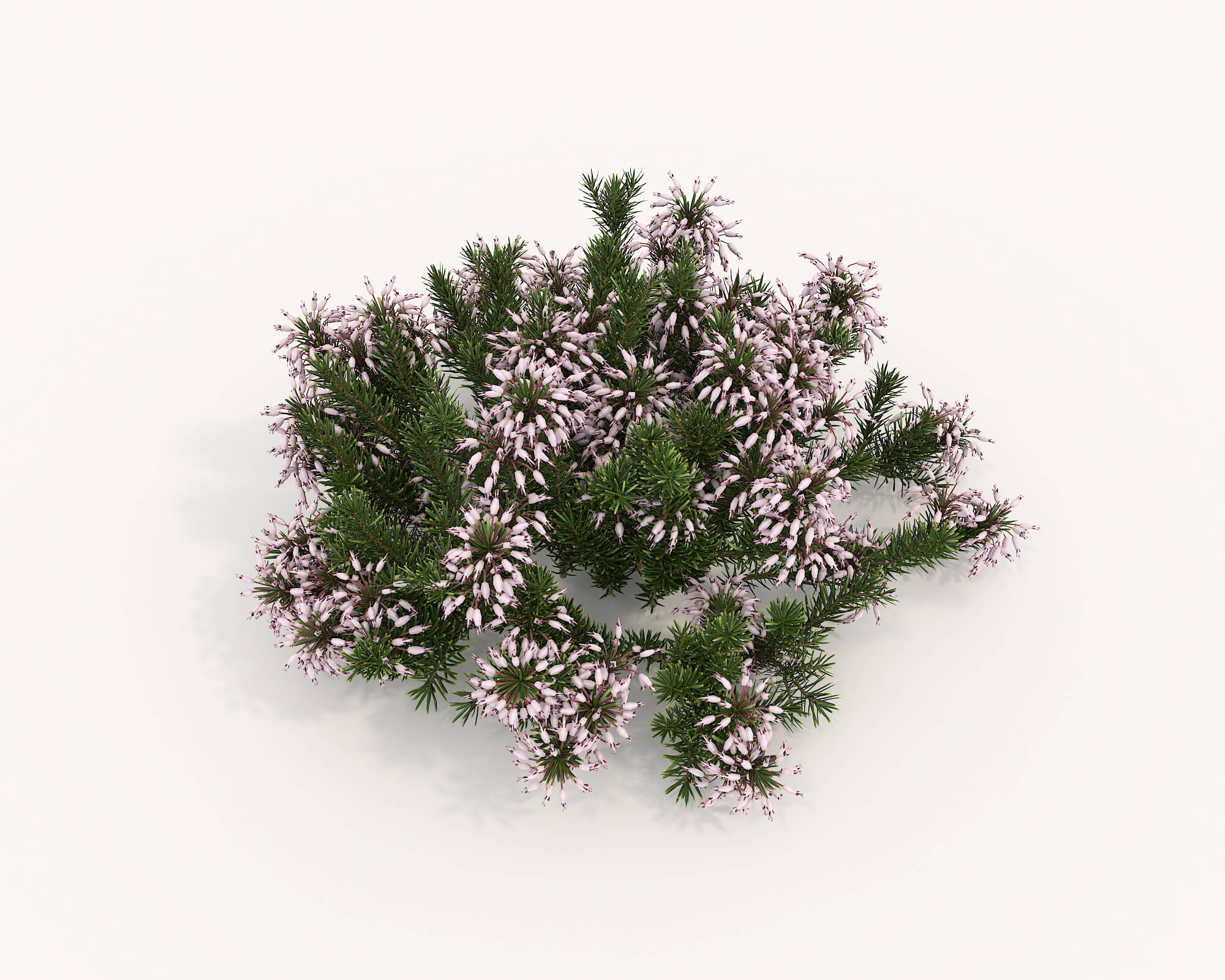 Realistic Shrub Bush Set 4 - 3D Model by nhattuankts