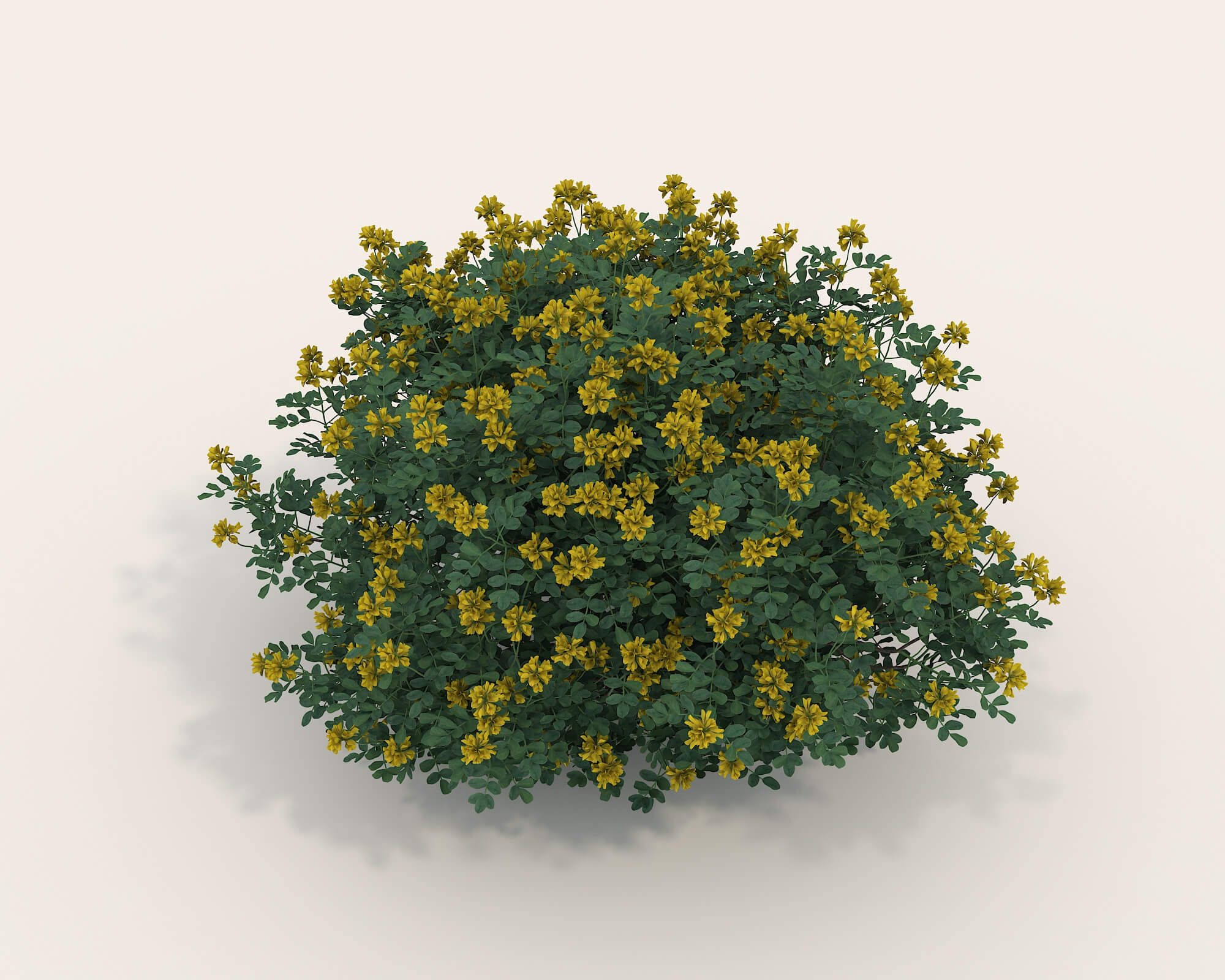 Realistic Shrub Bush Set 4 - 3D Model by nhattuankts