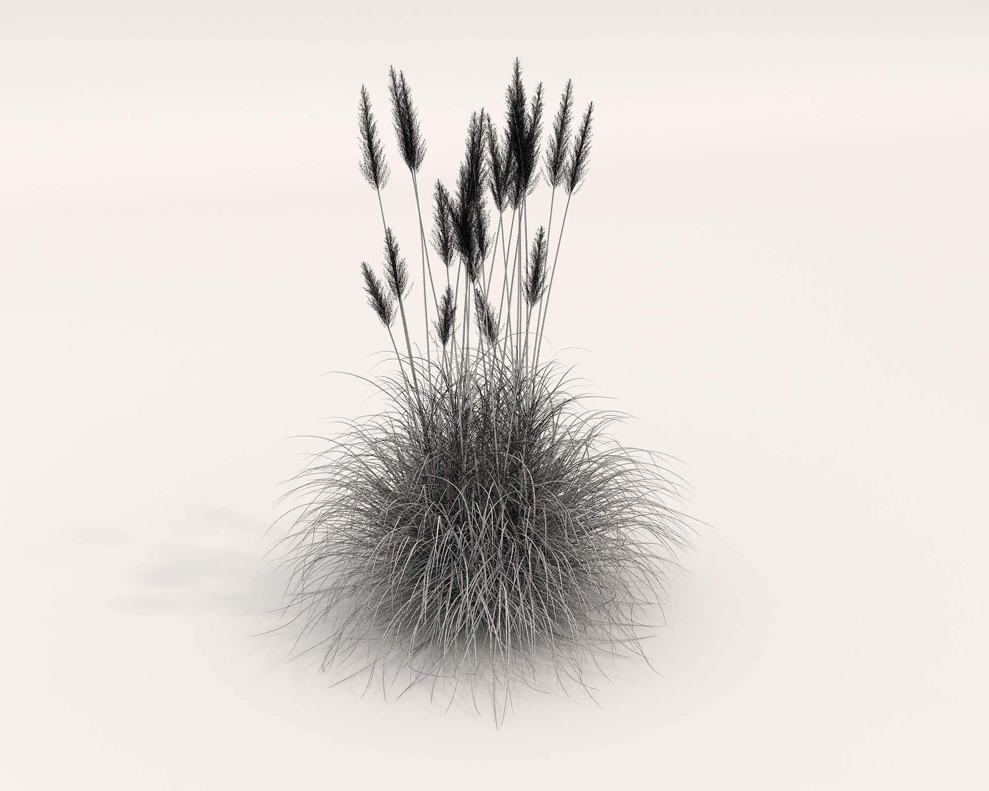 Realistic Shrub Bush Set 4 - 3D Model by nhattuankts