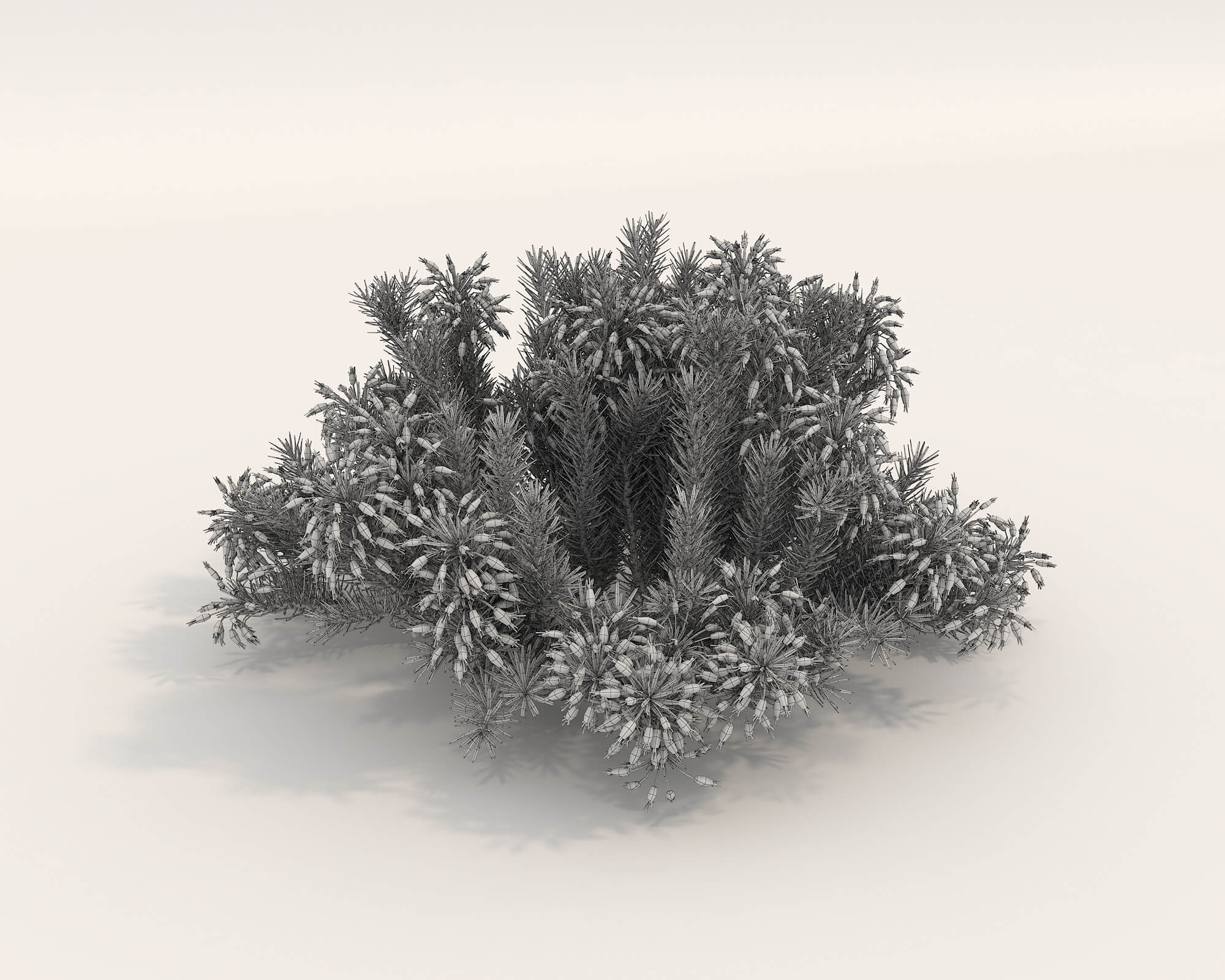 Realistic Shrub Bush Set 4 - 3D Model by nhattuankts
