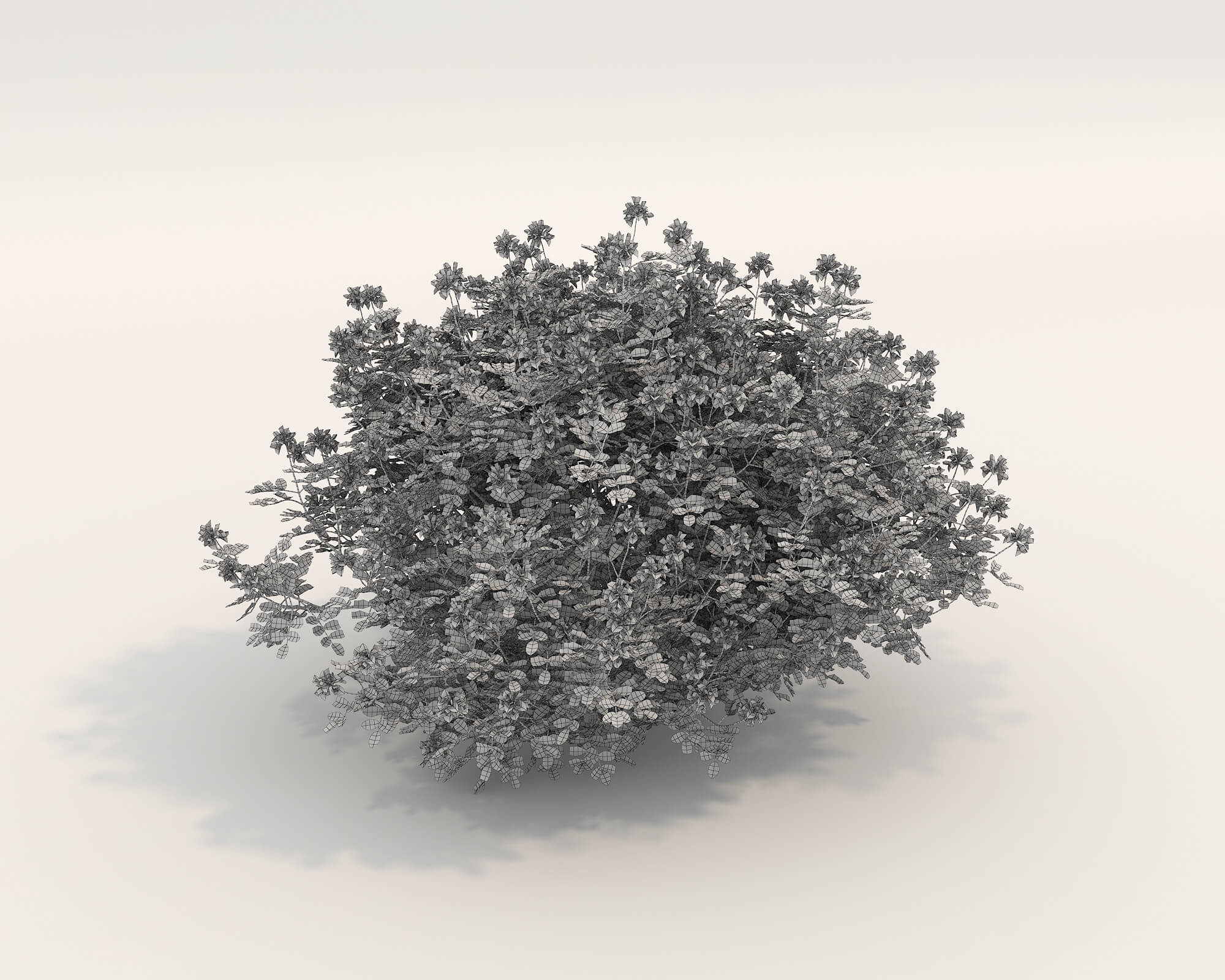 Realistic Shrub Bush Set 4 - 3D Model by nhattuankts
