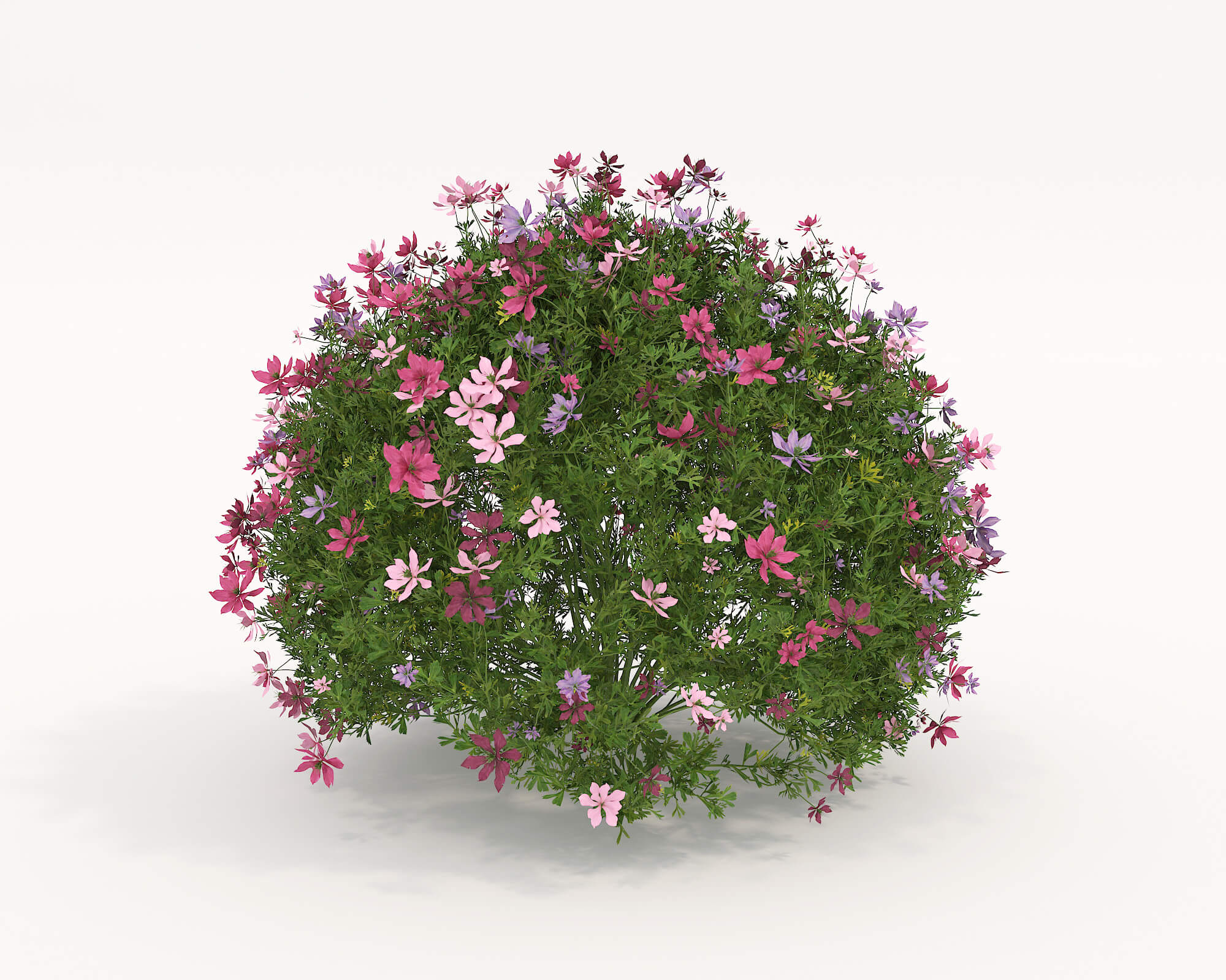 Realistic Shrub Bush Set 5 - 3D Model by nhattuankts