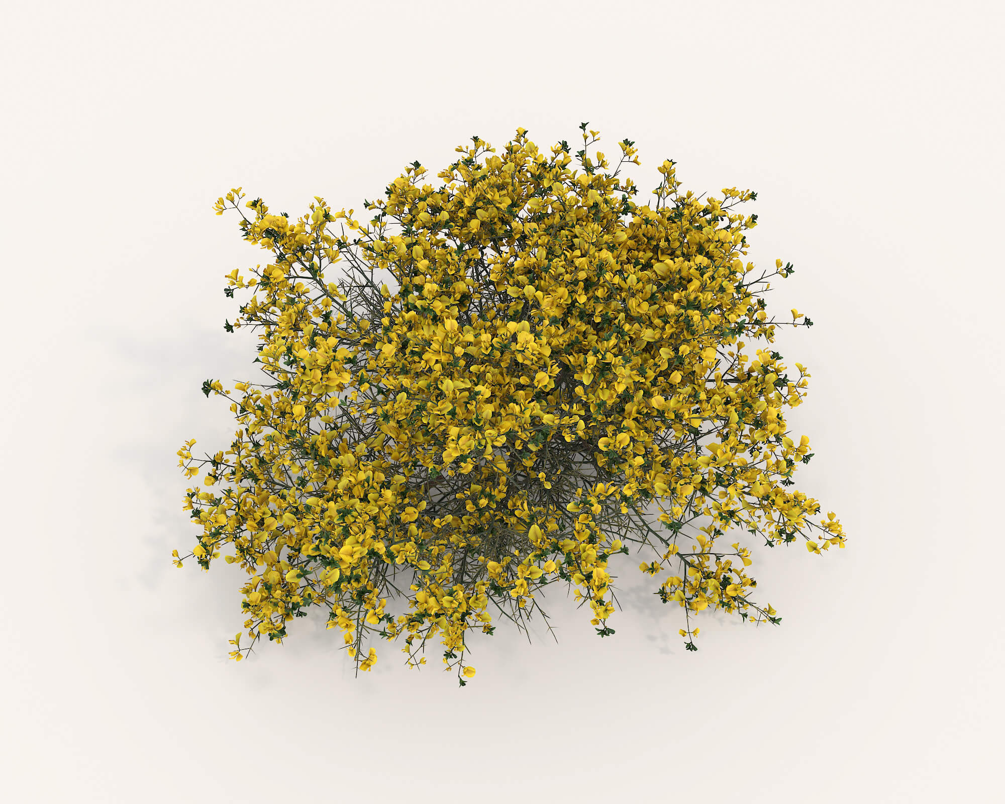 Realistic Shrub Bush Set 5 - 3D Model by nhattuankts