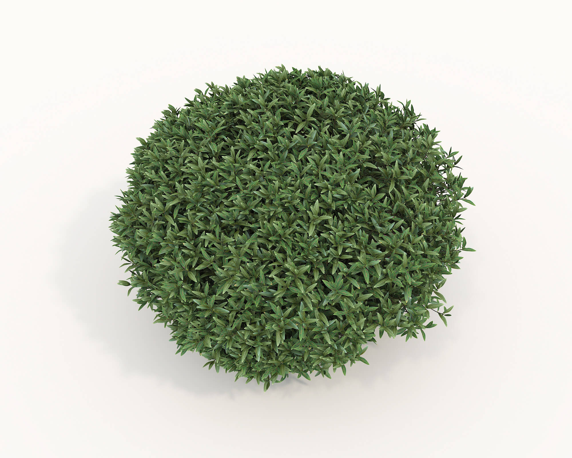 Realistic Shrub Bush Set 5 - 3D Model by nhattuankts