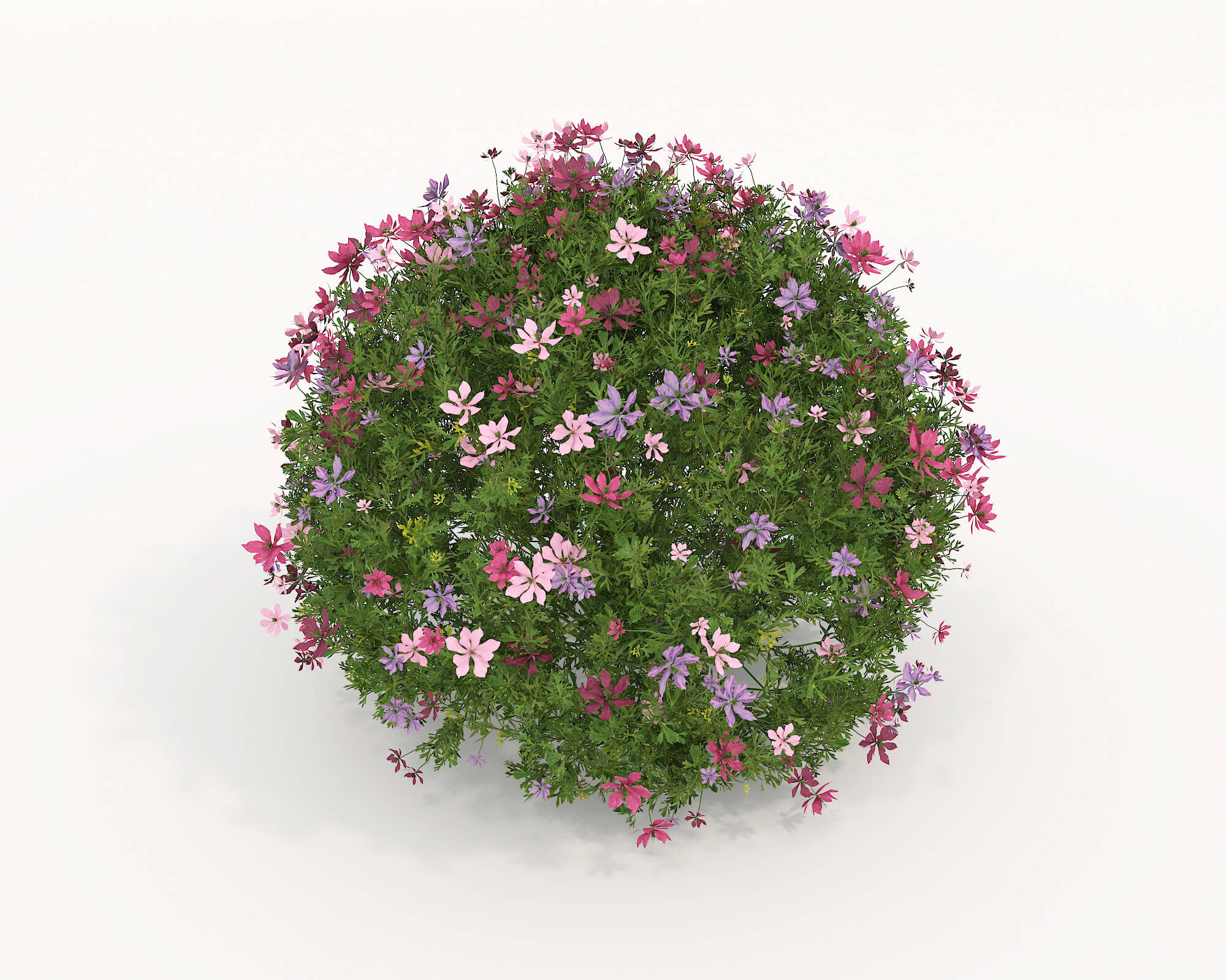 Realistic Shrub Bush Set 5 - 3D Model by nhattuankts