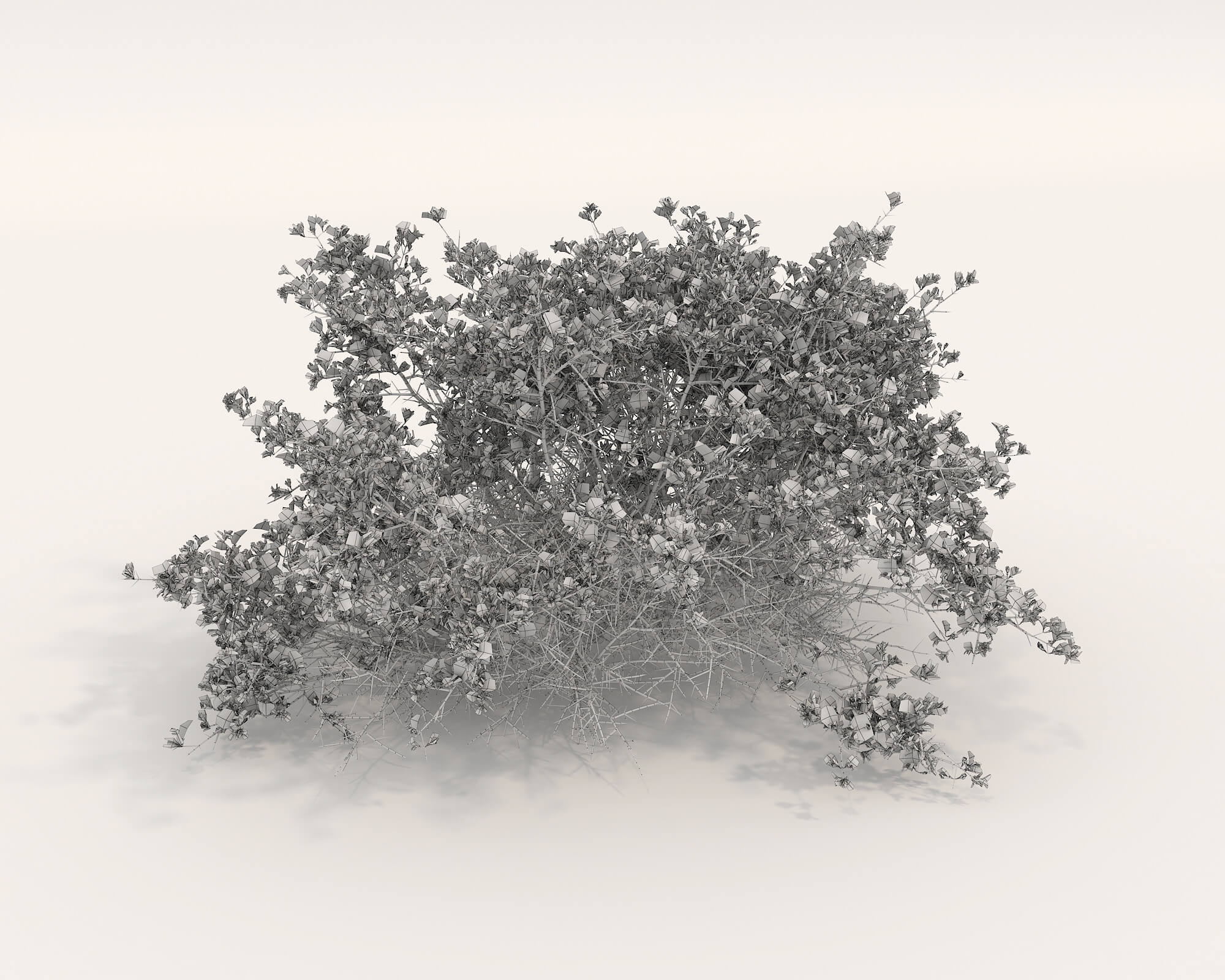 Realistic Shrub Bush Set 5 - 3D Model by nhattuankts