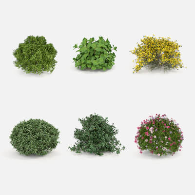 Realistic Shrub Bush Set 5 - 3D Model by nhattuankts