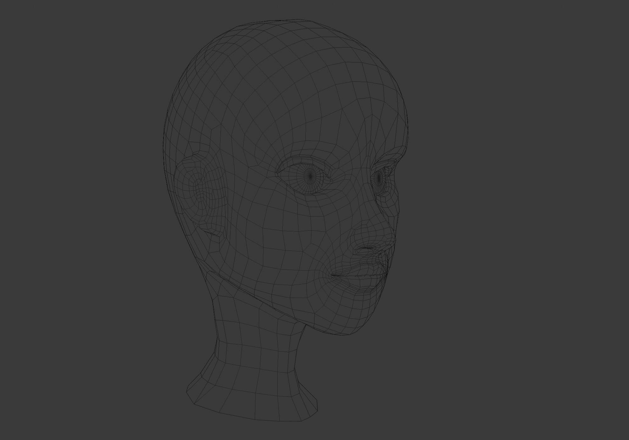 Basic Female Head - 3D Model by nickianimations