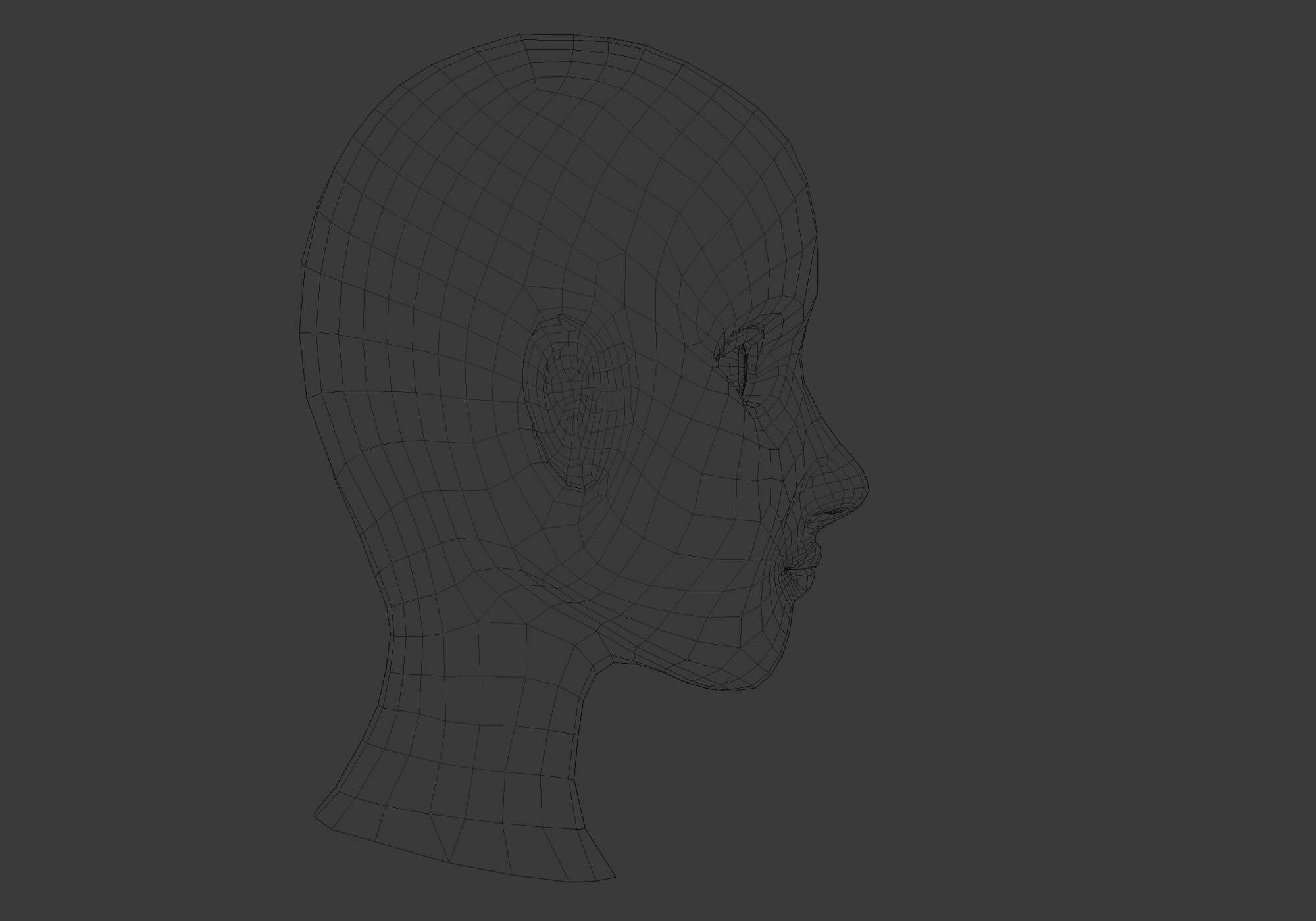 Basic Female Head - 3D Model by nickianimations