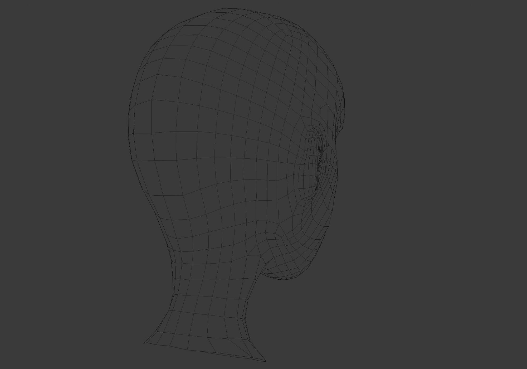 Basic Female Head - 3D Model by nickianimations