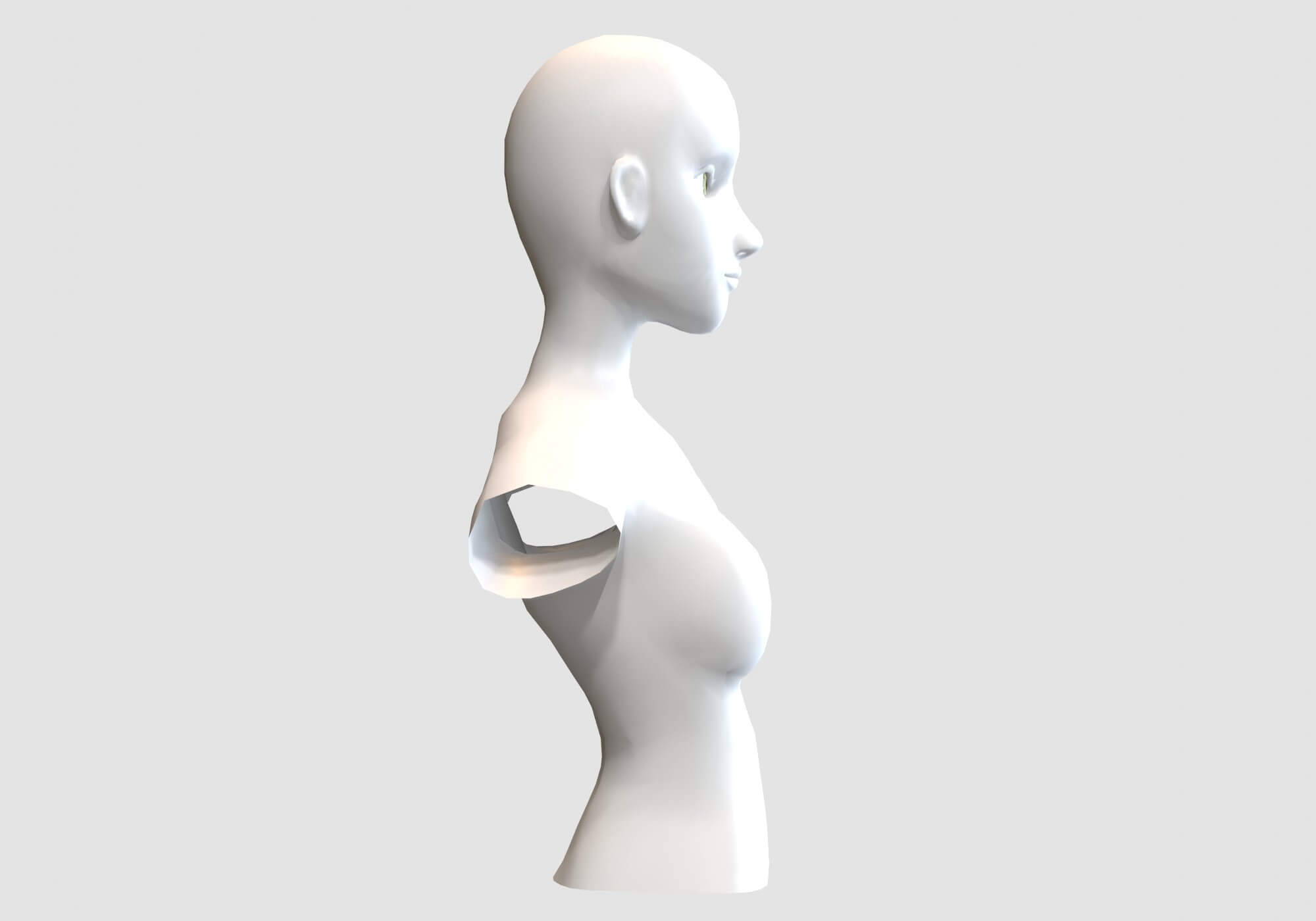 Basic Female Torso - 3D Model by nickianimations