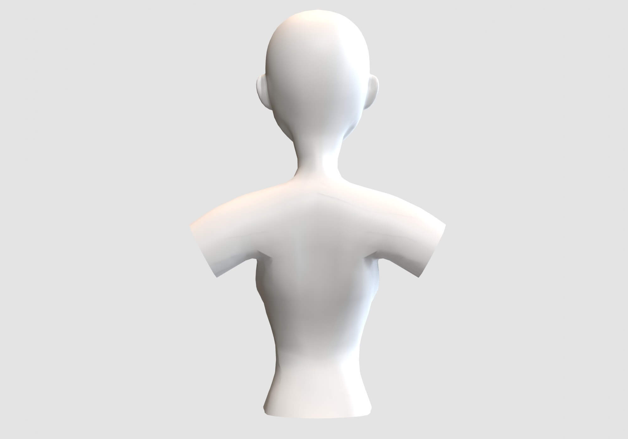 Basic Female Torso - 3D Model by nickianimations