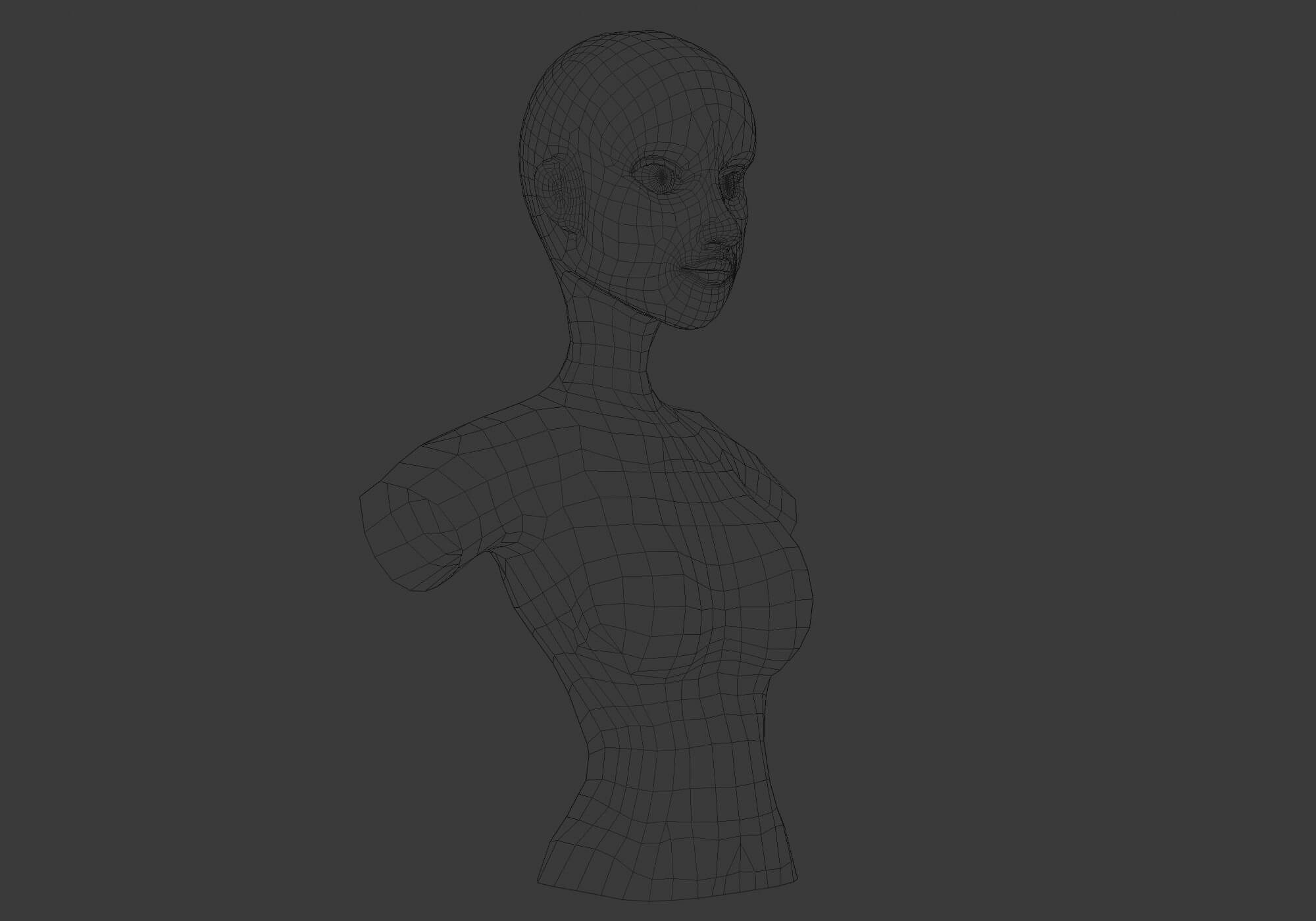 Basic Female Torso - 3D Model by nickianimations