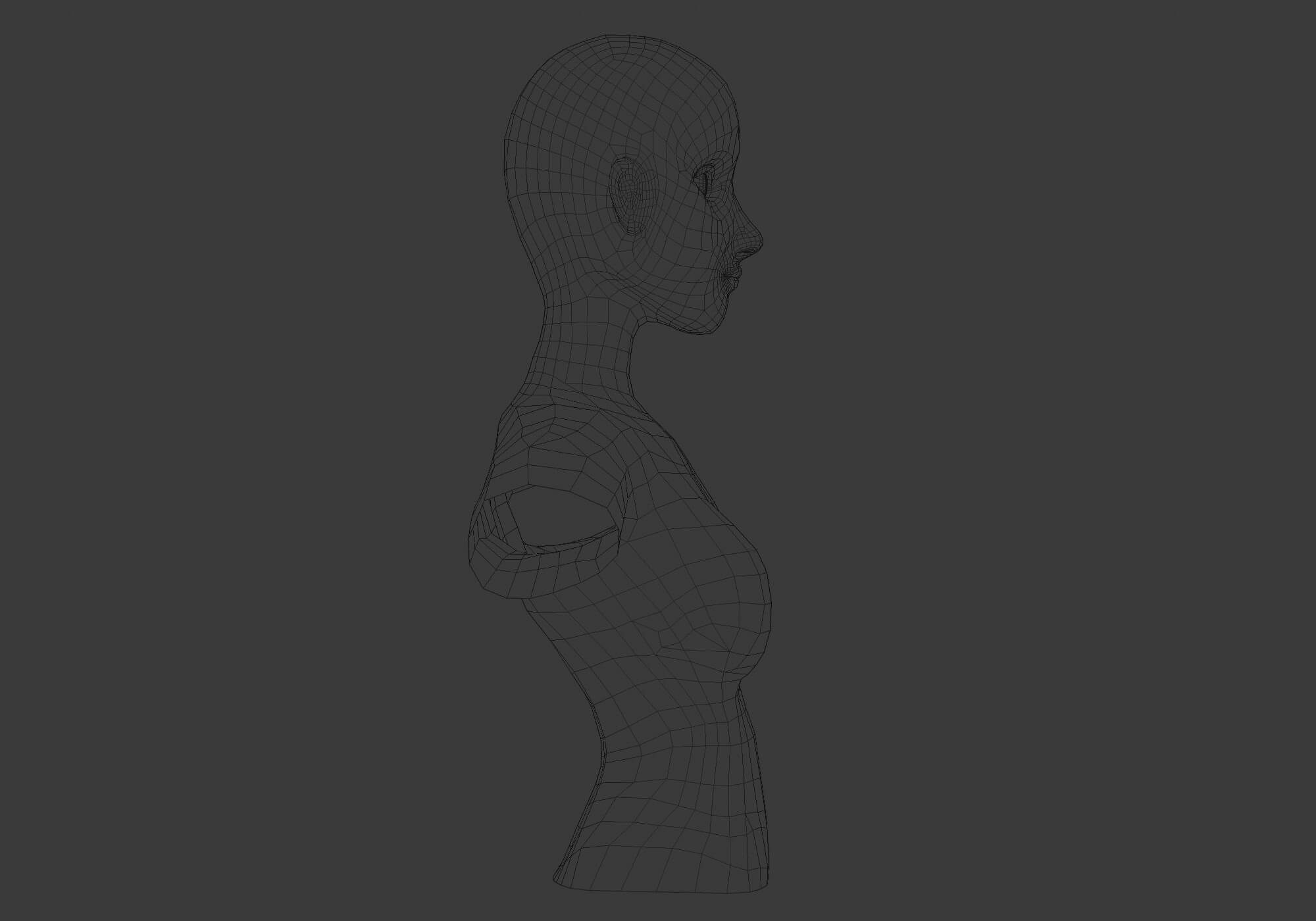 Basic Female Torso - 3D Model by nickianimations