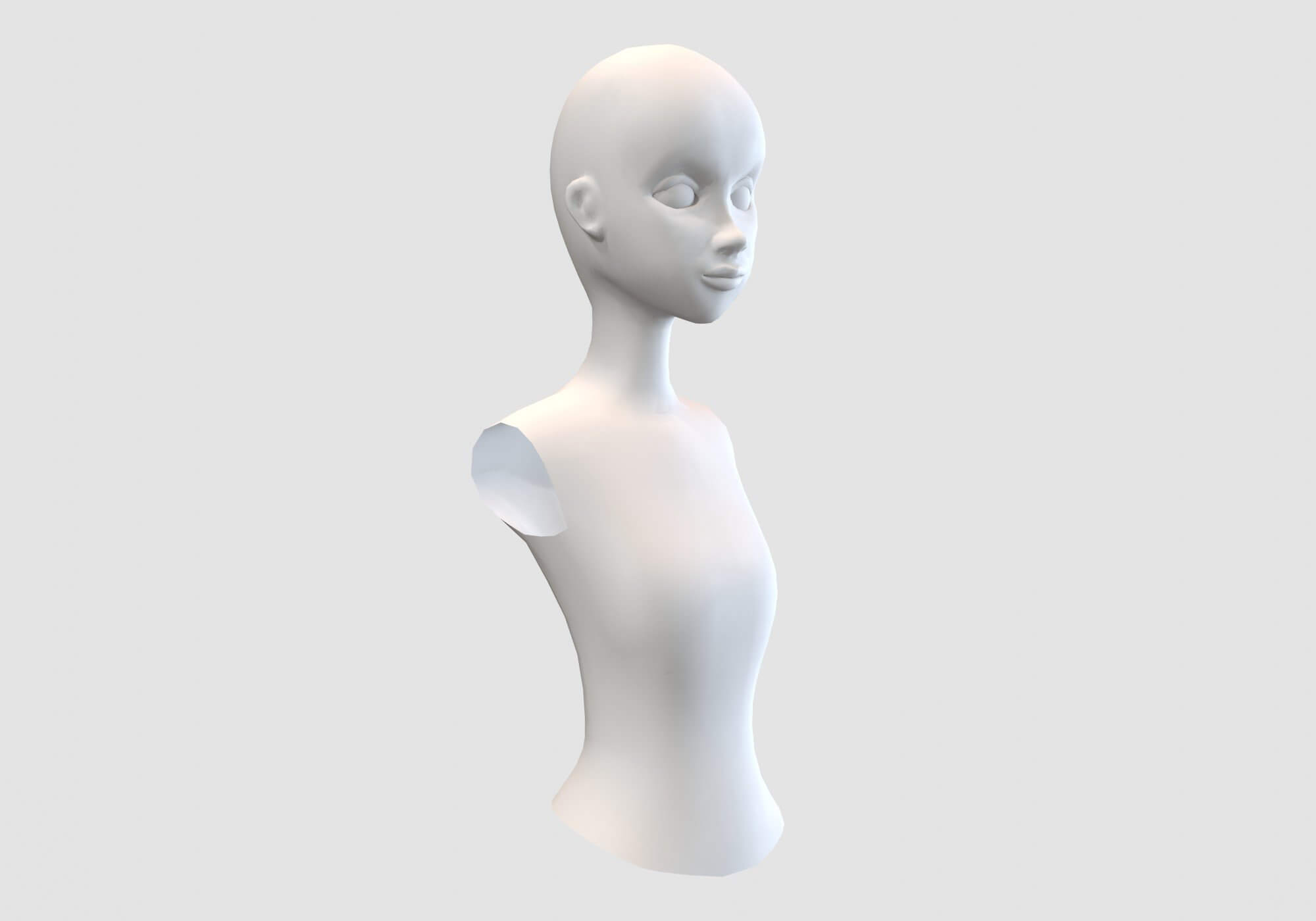 Basic Female Torso - 3D Model by nickianimations