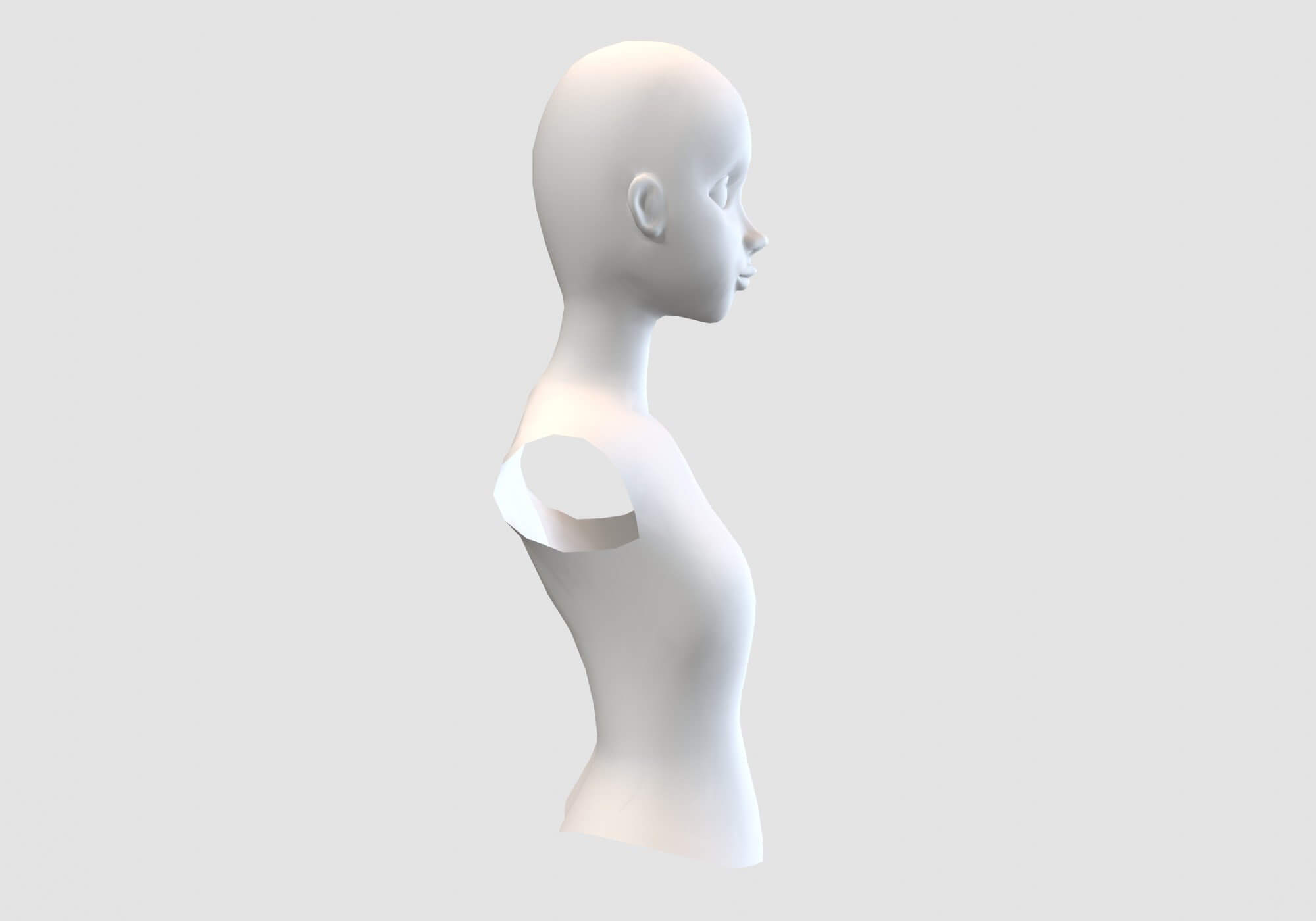 Basic Female Torso - 3D Model by nickianimations