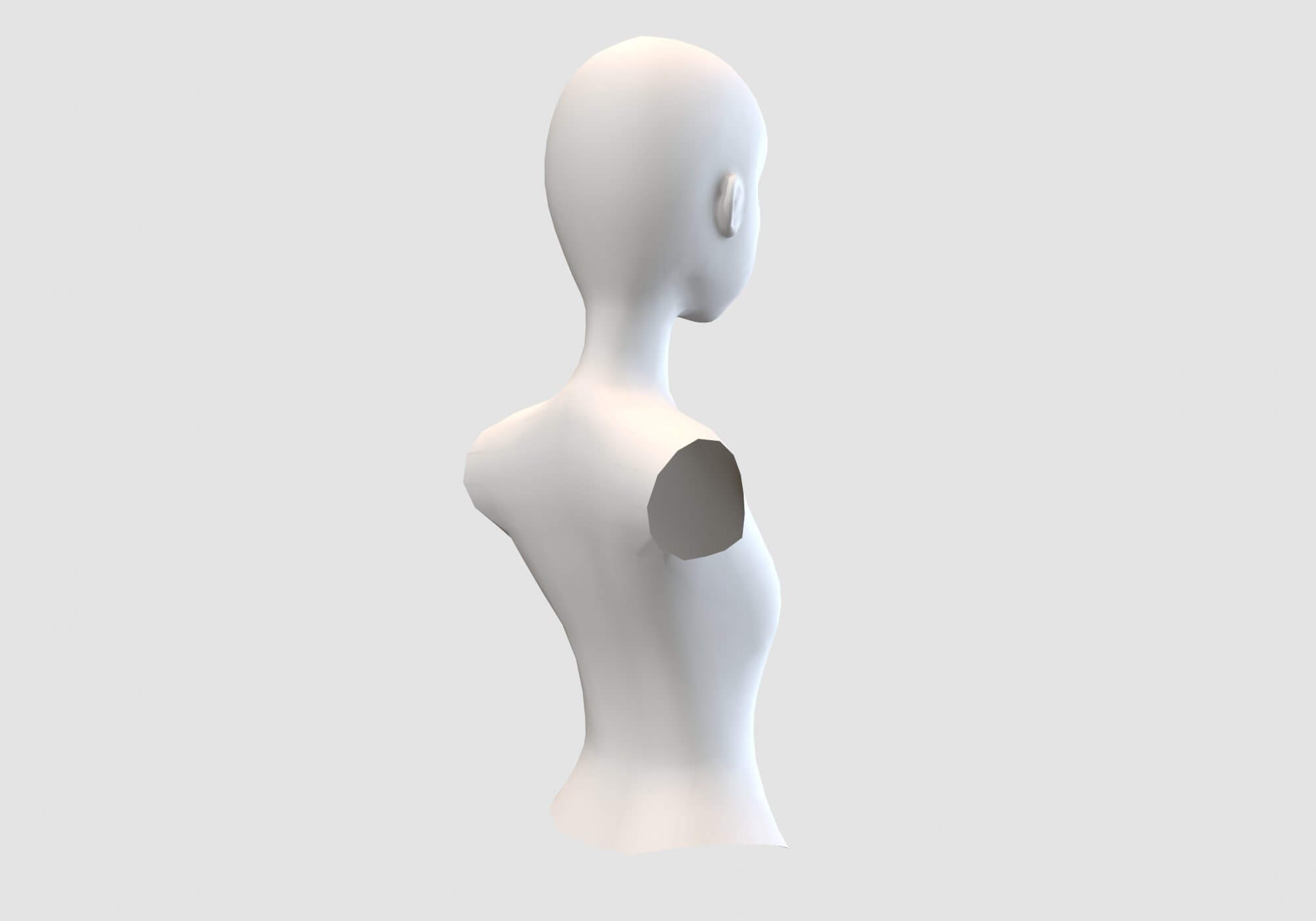 Basic Female Torso - 3D Model by nickianimations