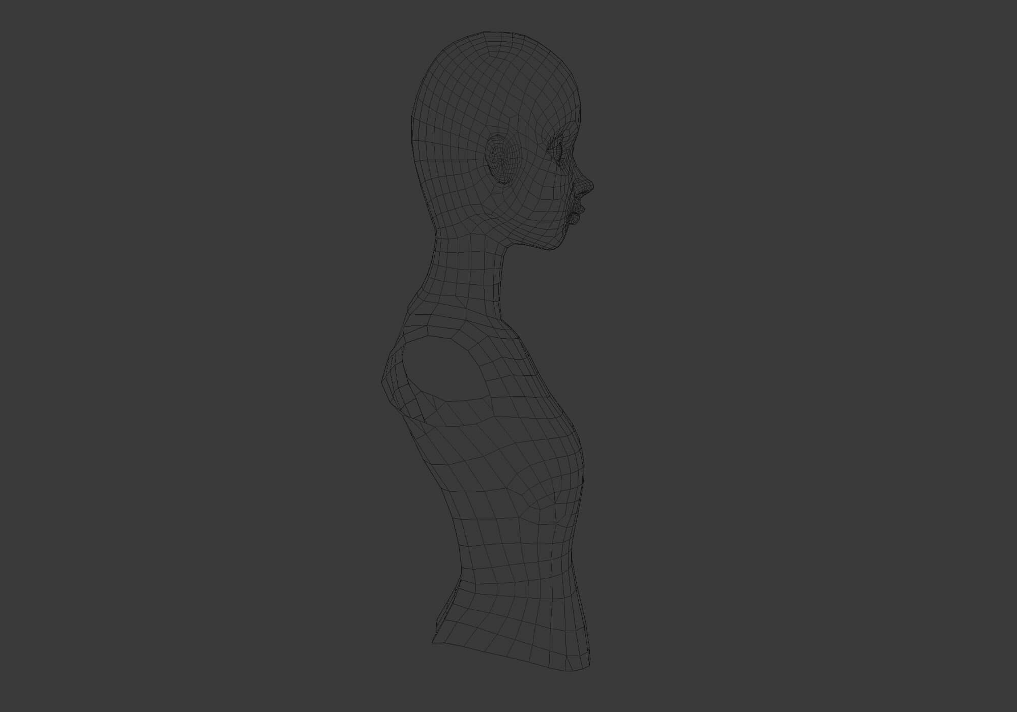 Basic Female Torso - 3D Model by nickianimations