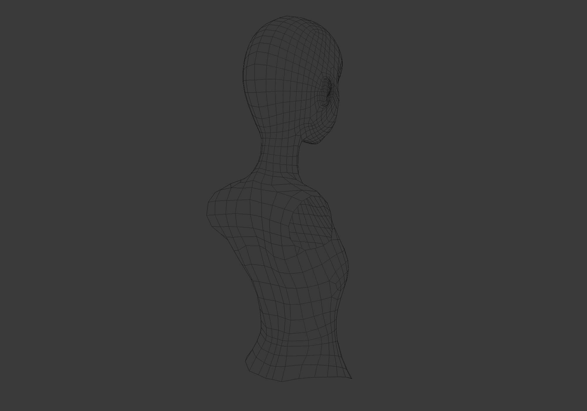 Basic Female Torso - 3D Model by nickianimations