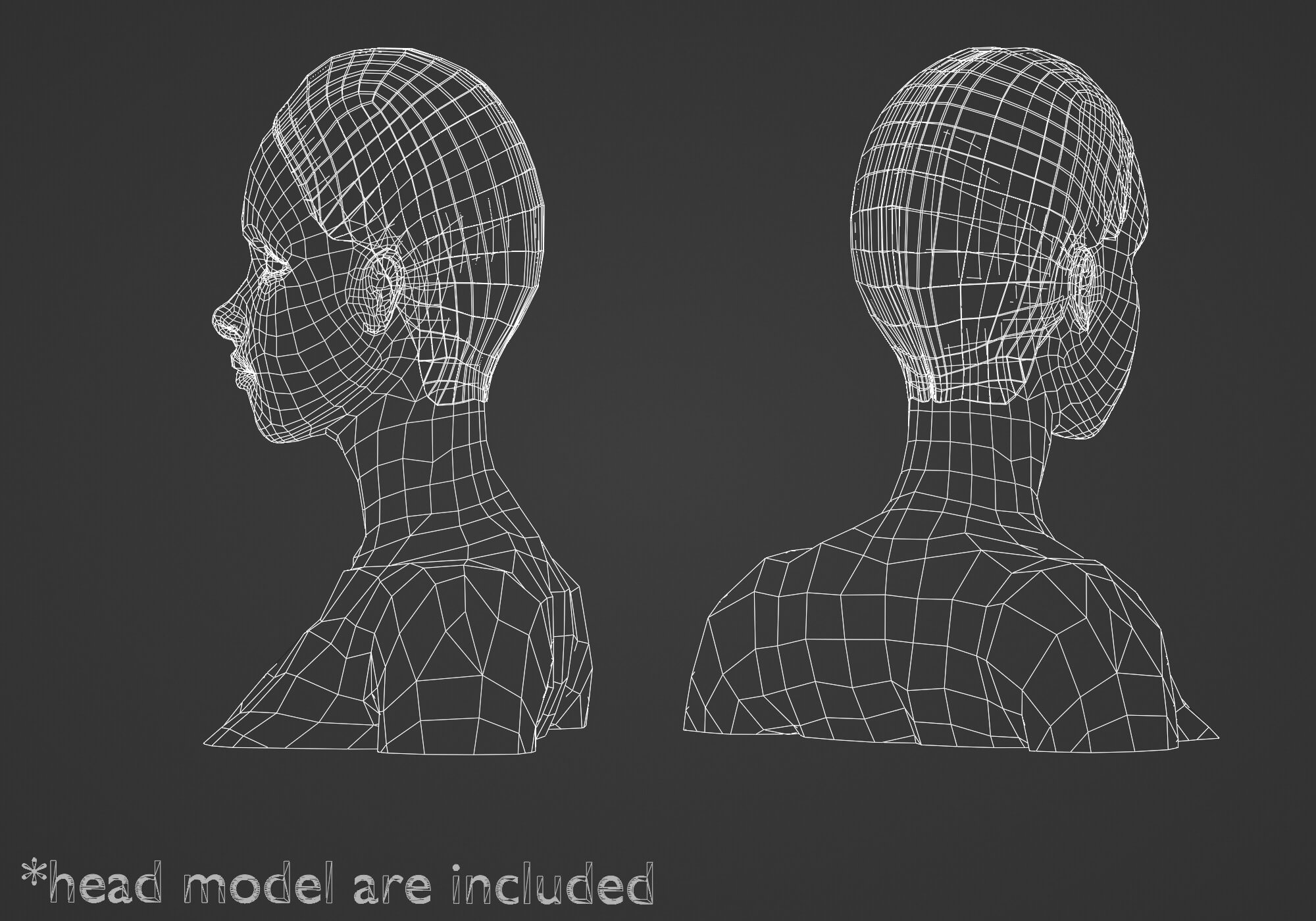 Basic Hairline Hairstyle V3852 - 3D Model by nickianimations